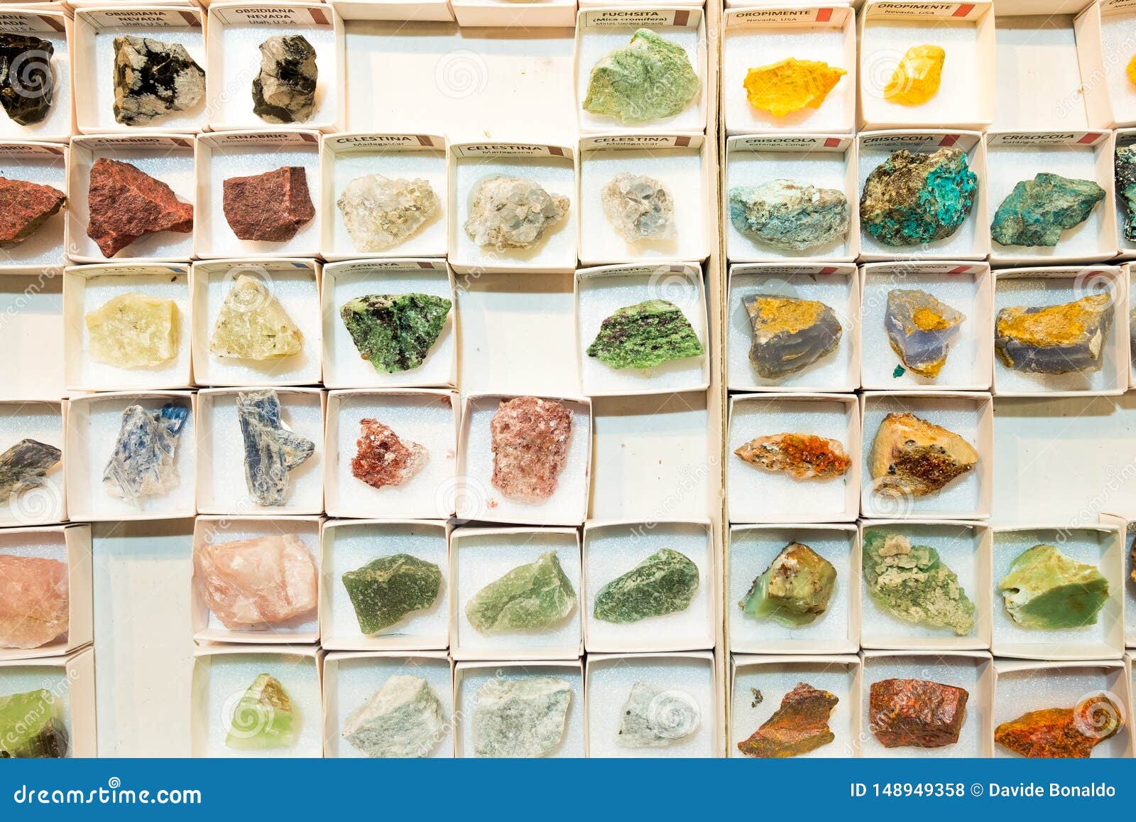 View from Above of Samples of Precious Minerals and Rocks in Small ...