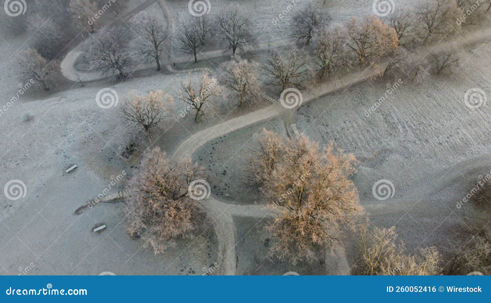 View from Above on the Shaded Paths Stock Photo - Image of surface ...