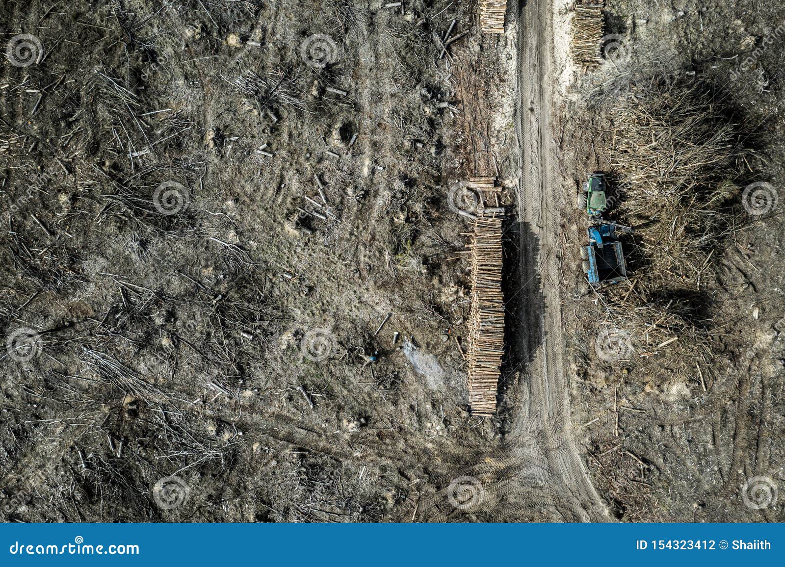 View from Above Terrible Deforestation. Harvesting a Forest Stock Photo ...