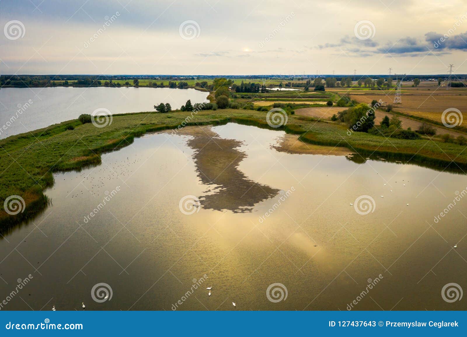 View from Above on Water Ponds, Poland Stock Image - Image of landscape ...