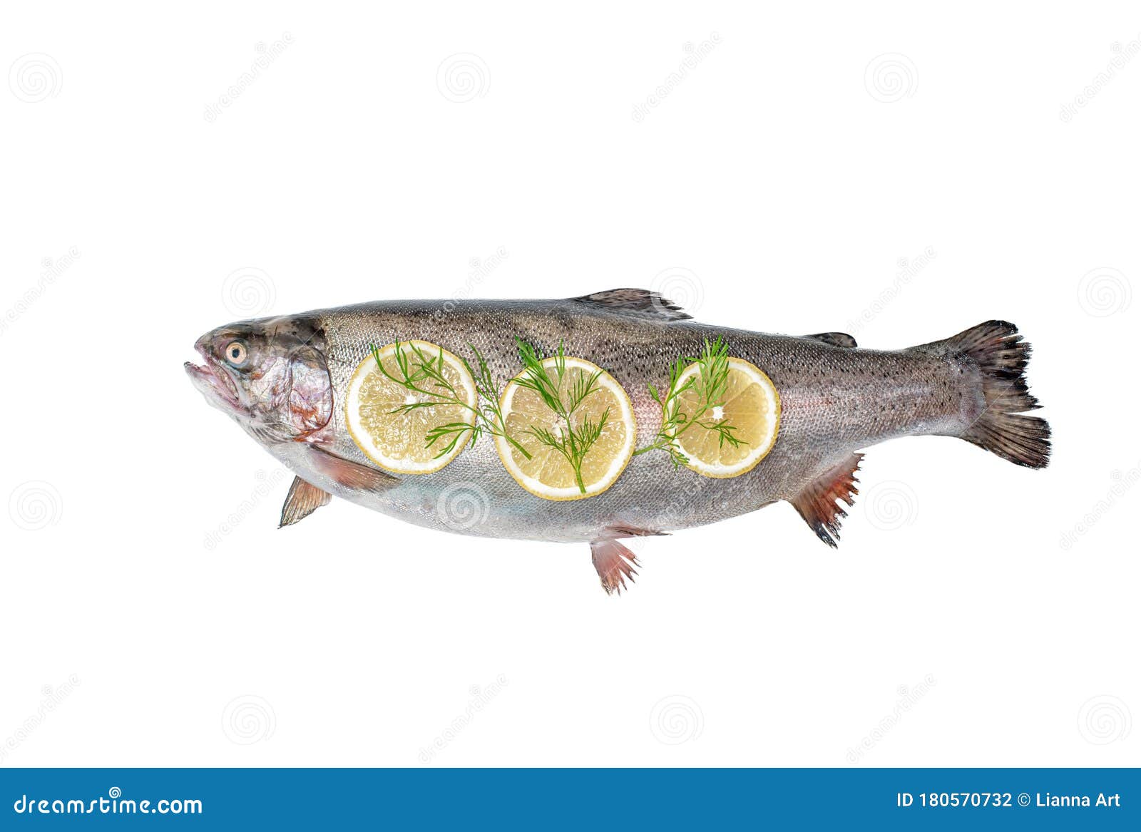 The Whole Big a Salmon Fish Isolated on a White Background Stock Photo ...
