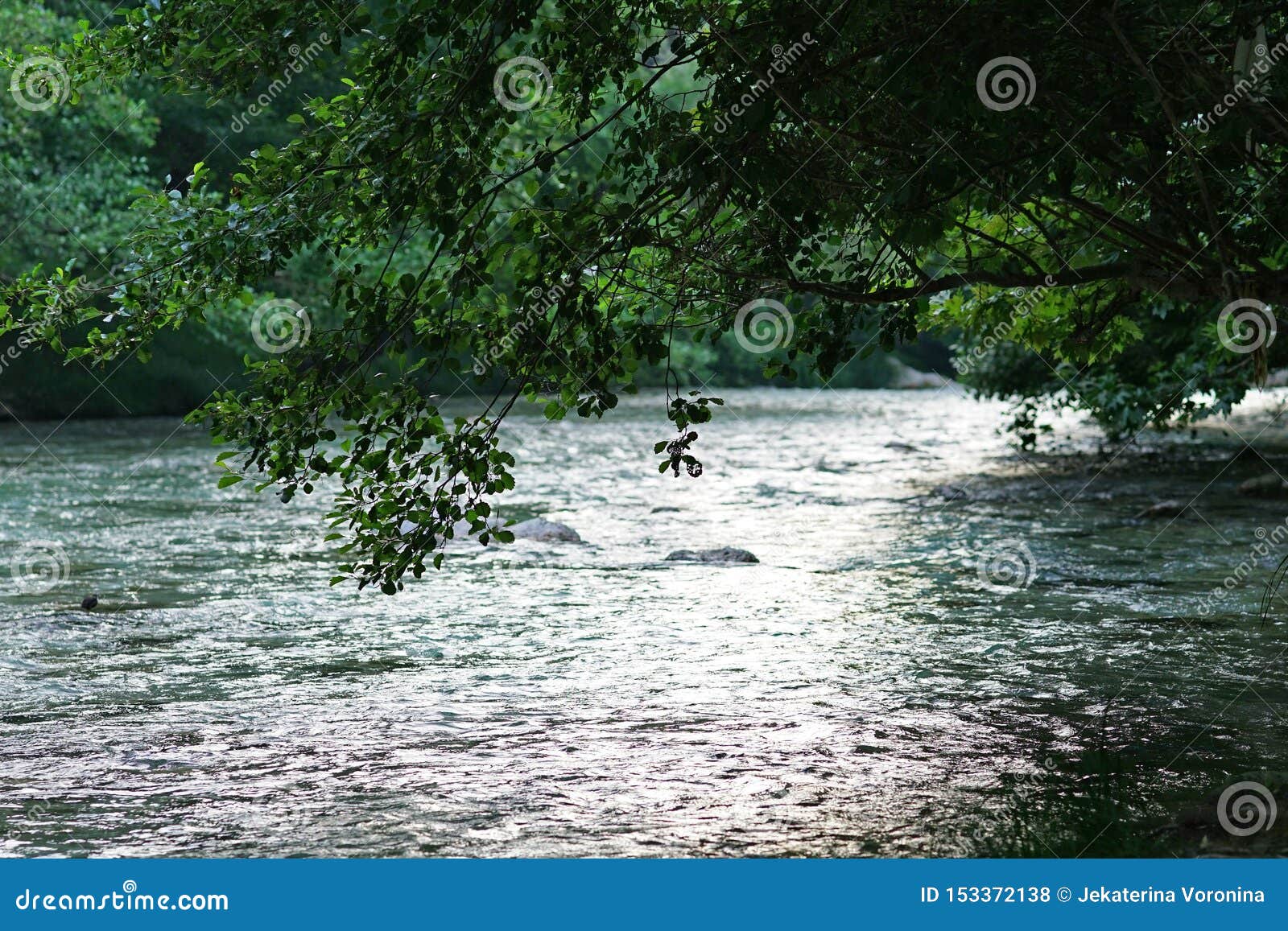 View of the Acheron River with Its Pristine Nature in Epirus Stock ...