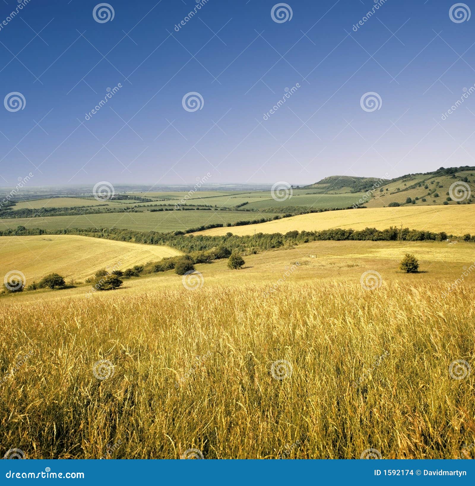 Agricultural Landscape From Air. Farm Machine On The Field. Harvesting ...