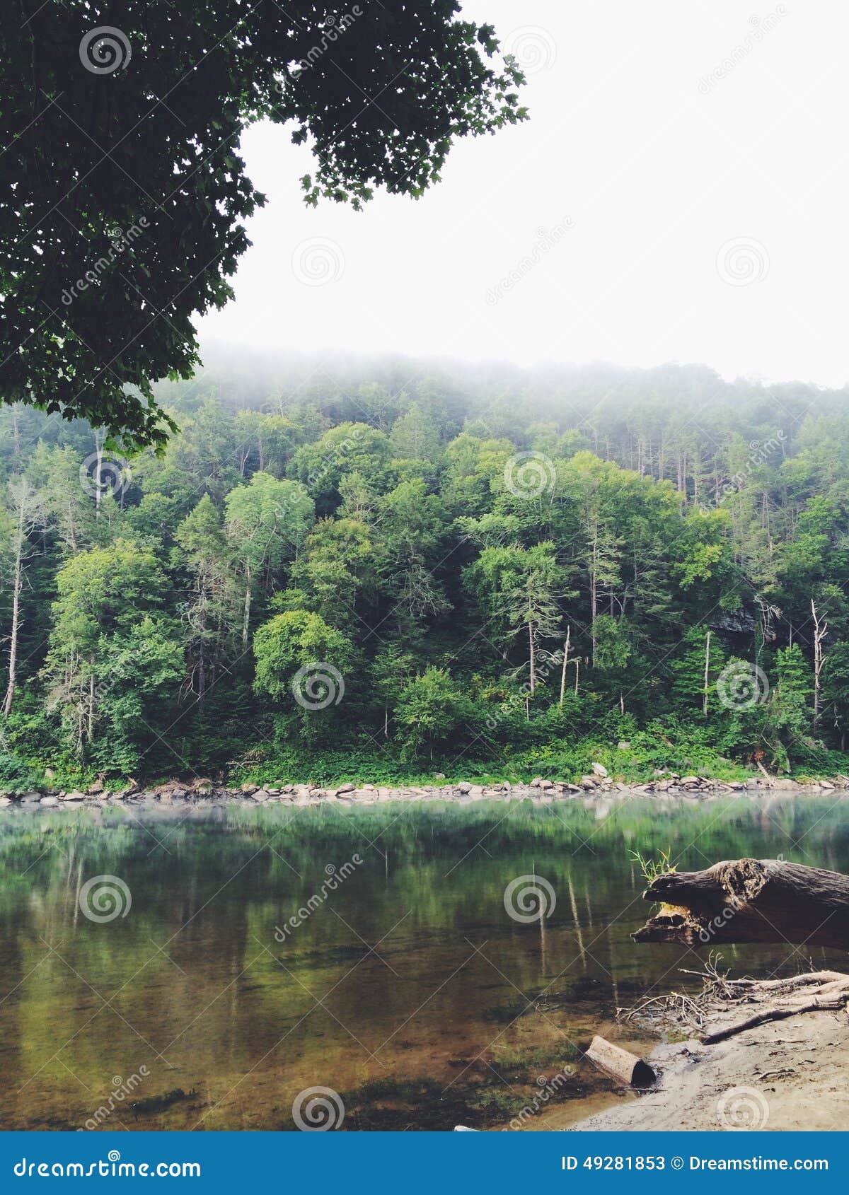 View across the river stock image. Image of view, river - 49281853