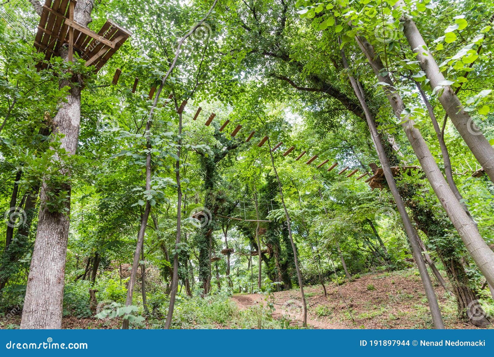View of the Adventure Park with Obstacles on the Trees. Stock Photo ...
