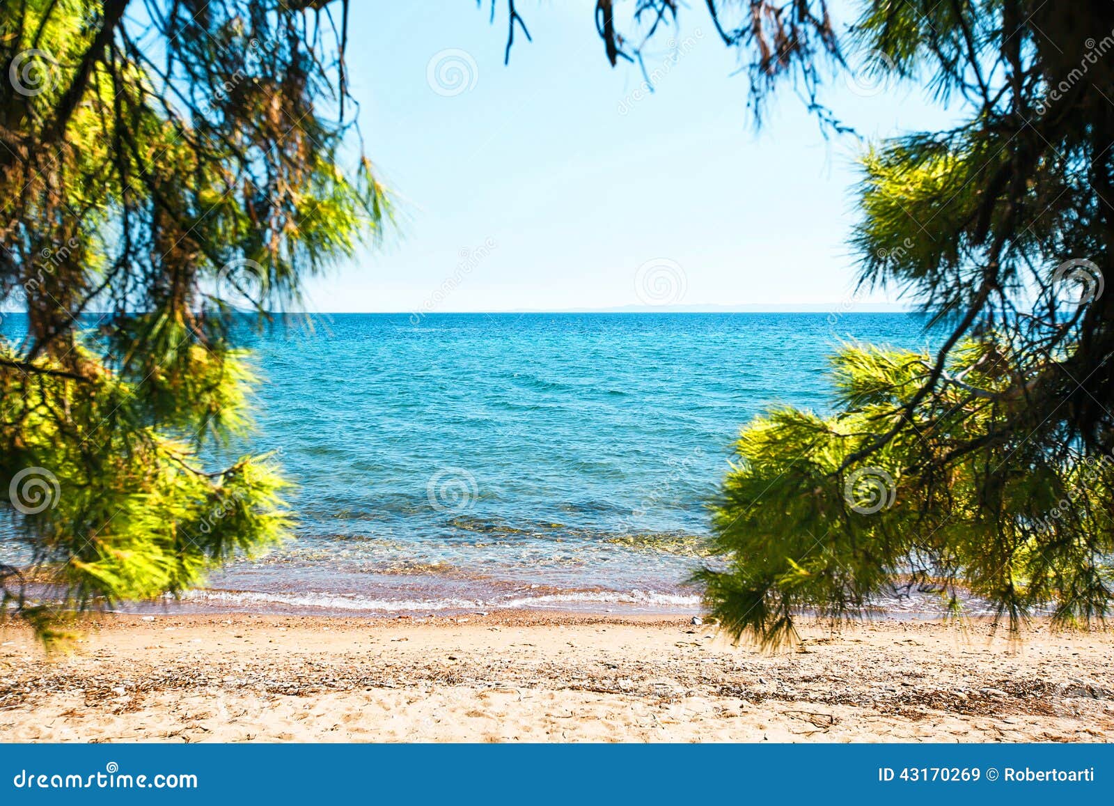 View on Aegean Sea from Sandy Beach through Green Pine Trees. Stock ...