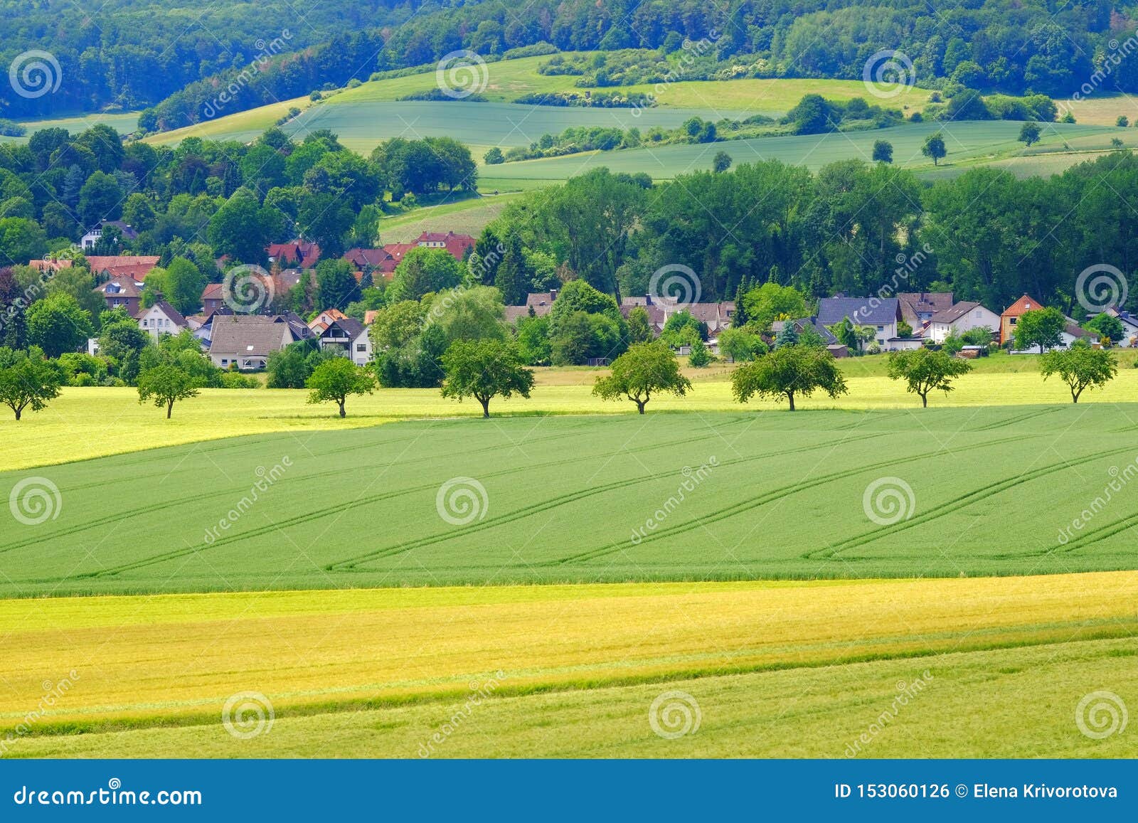 View on the Agricultural Fields with Grain in Germany Stock Photo ...