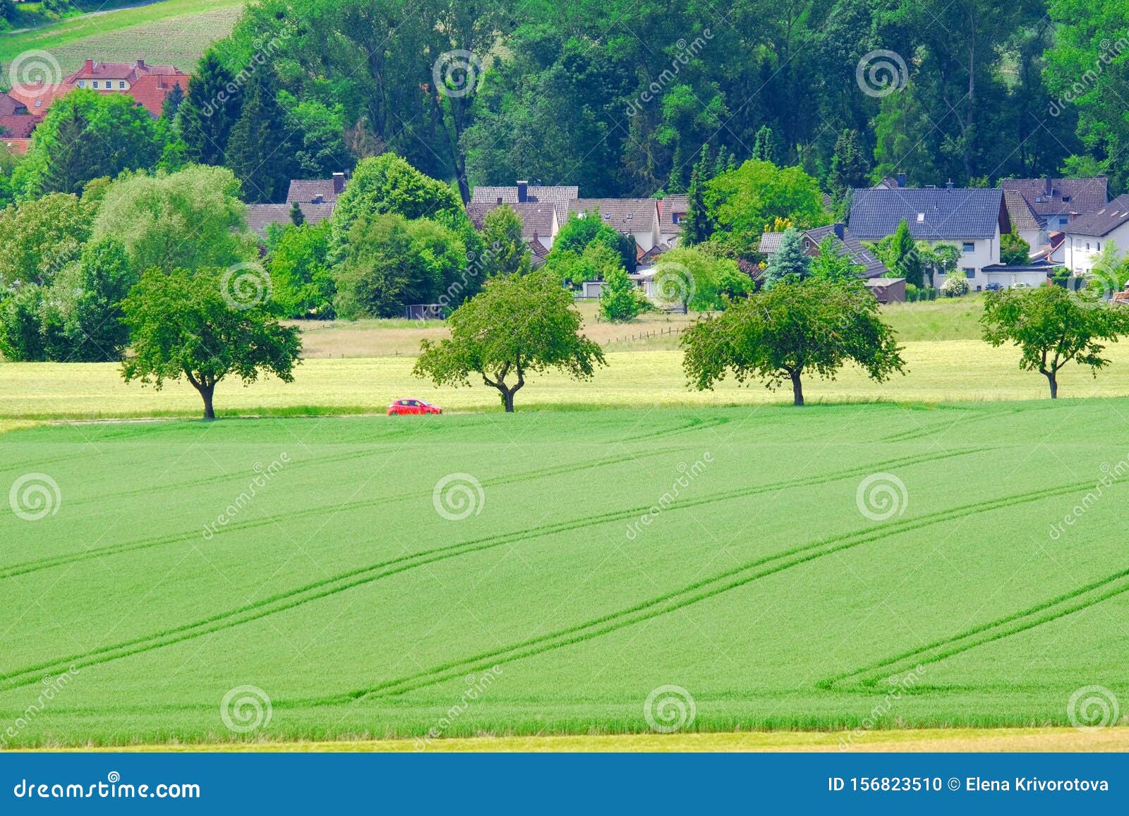 View on the Agricultural Fields with Grain in Germany Stock Photo ...