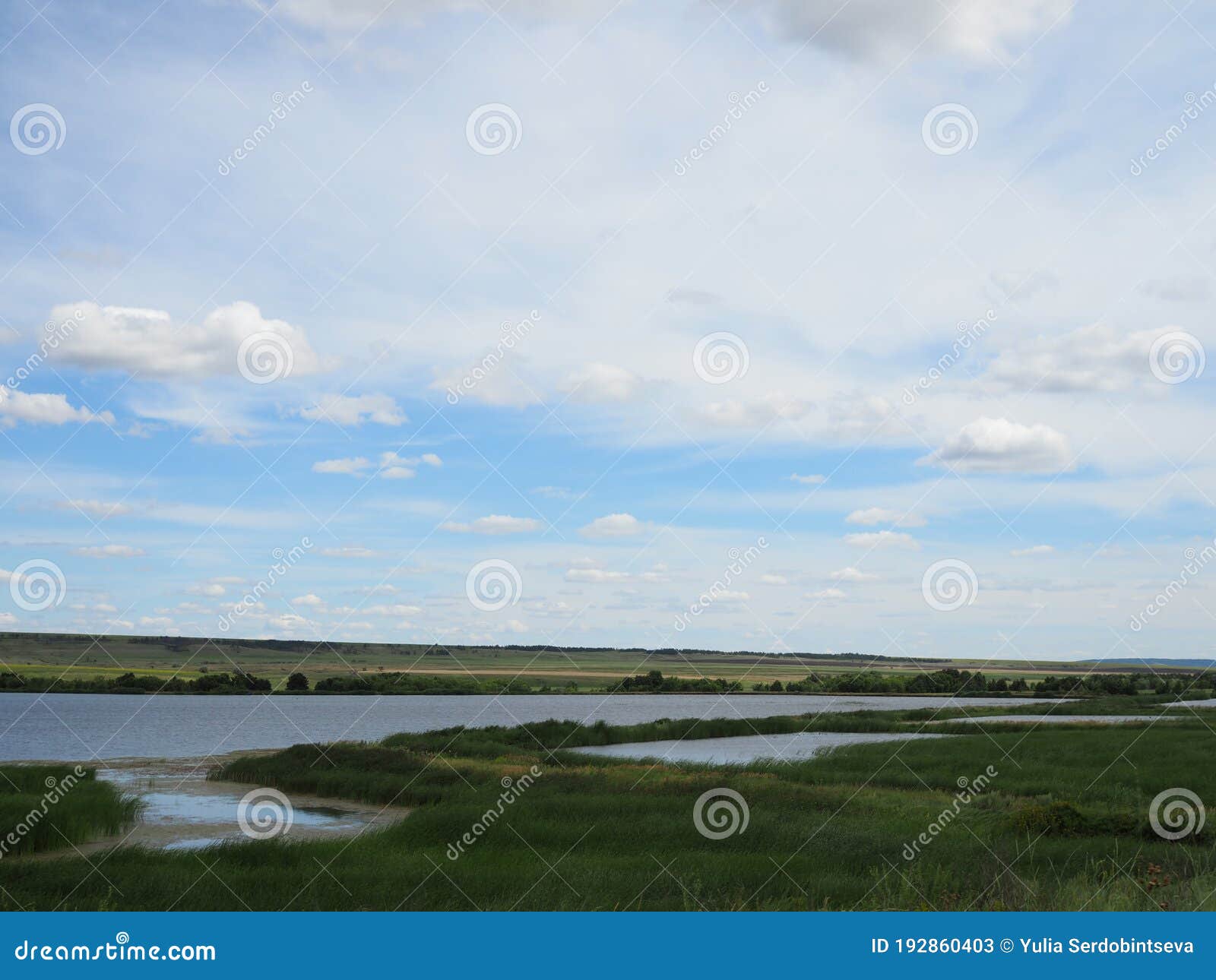 View of an Agricultural Meadow with Two Rectangular Fish Ponds and Dark ...