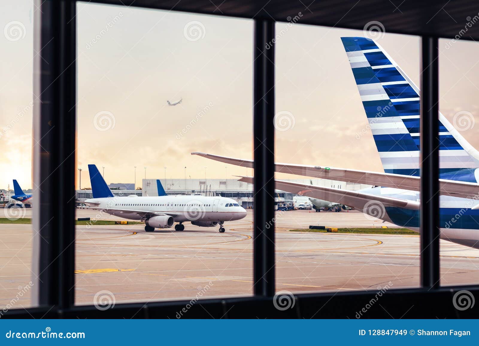 View of Airplane Fuselage Tail through Window at Airport Stock Image ...