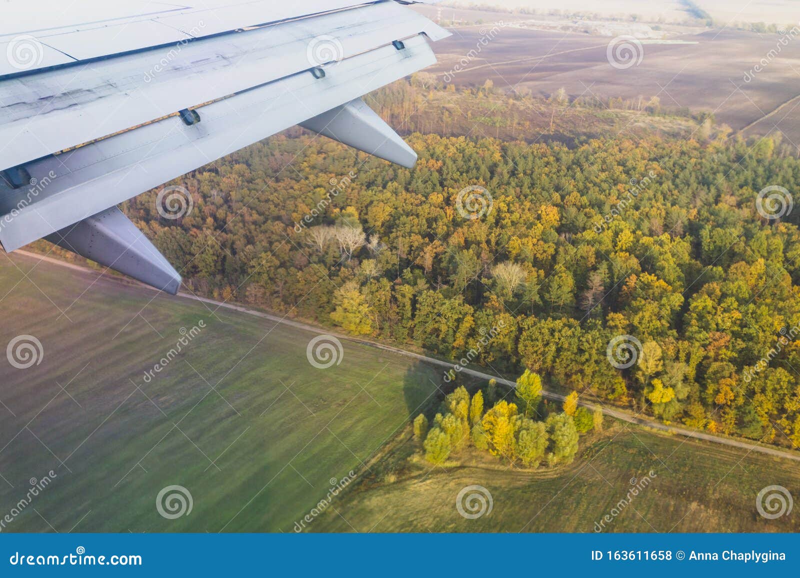 View from the Airplane Window on the Wing, Field and Forest Stock Photo ...