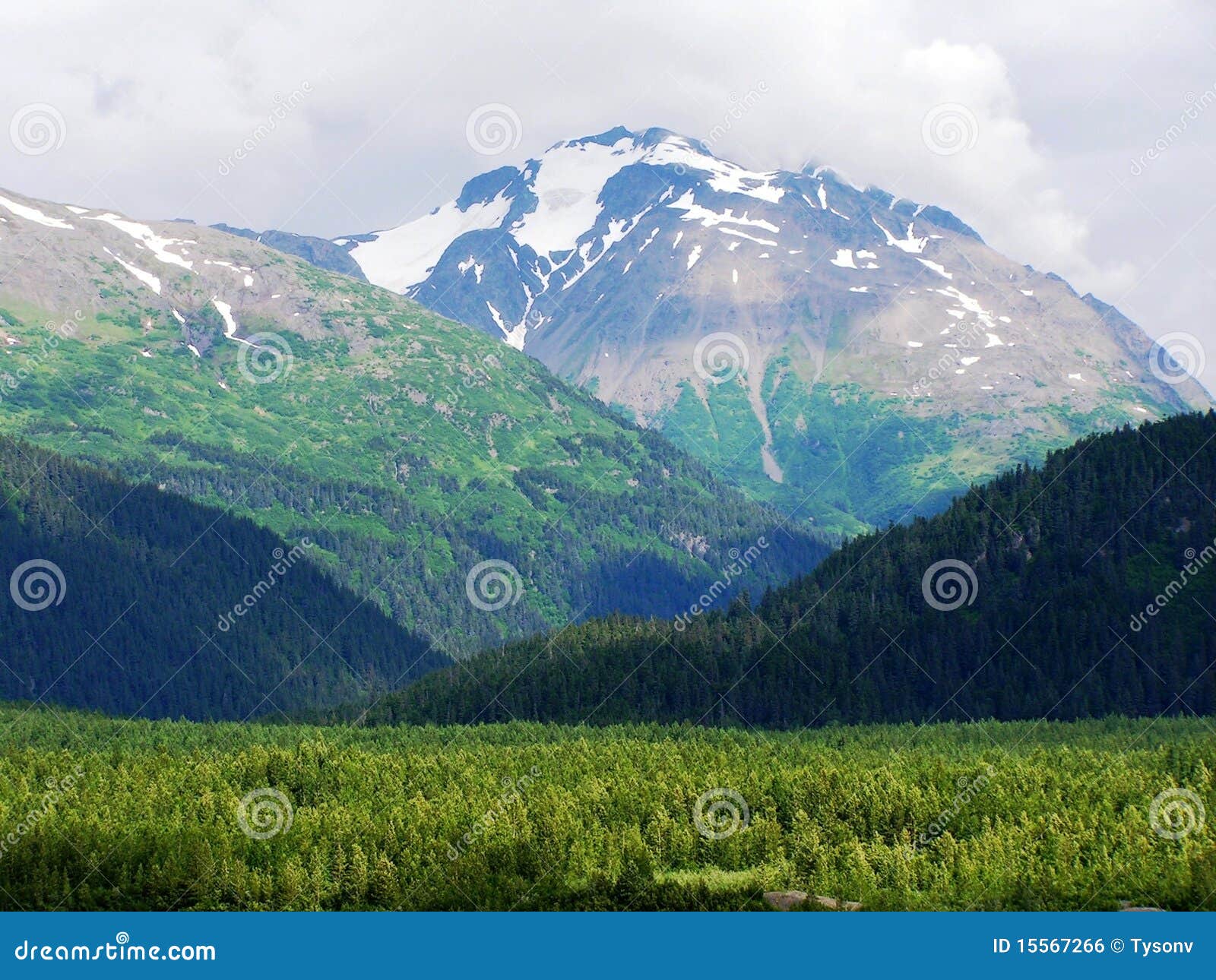 View of Alaska landscape stock photo. Image of explore - 15567266