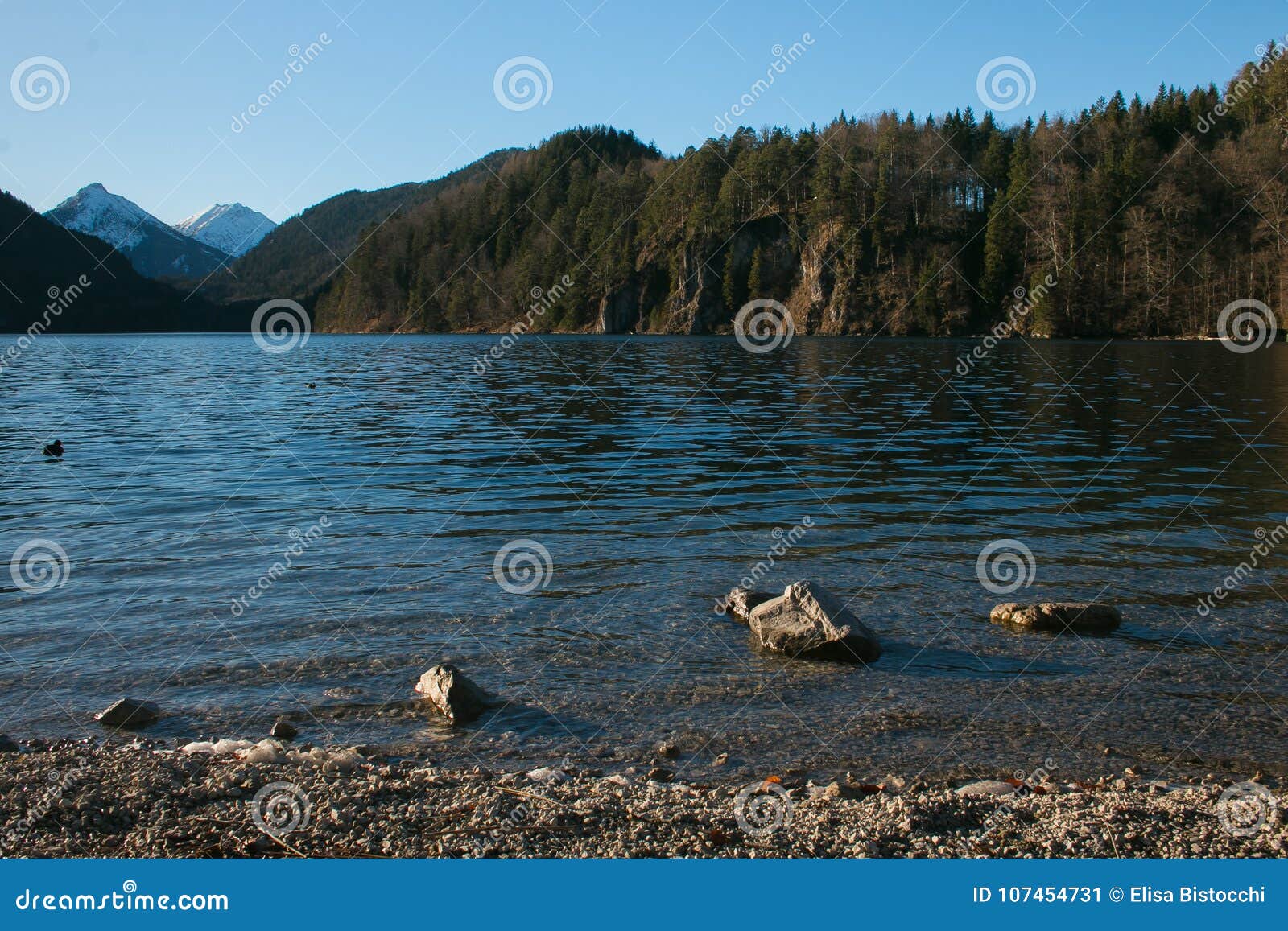 View of Alpine Lake in Germany Stock Image - Image of europe, germany ...