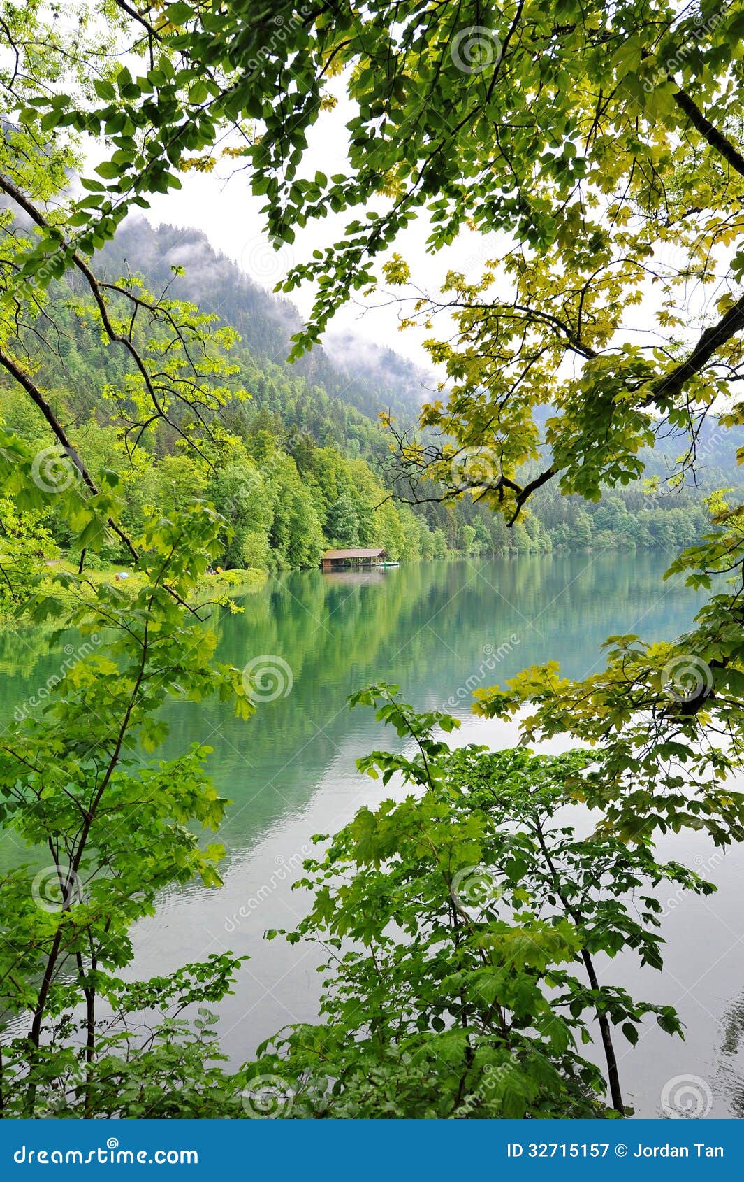 View of Alpsee Lake in Germany Stock Image - Image of water, tree: 32715157