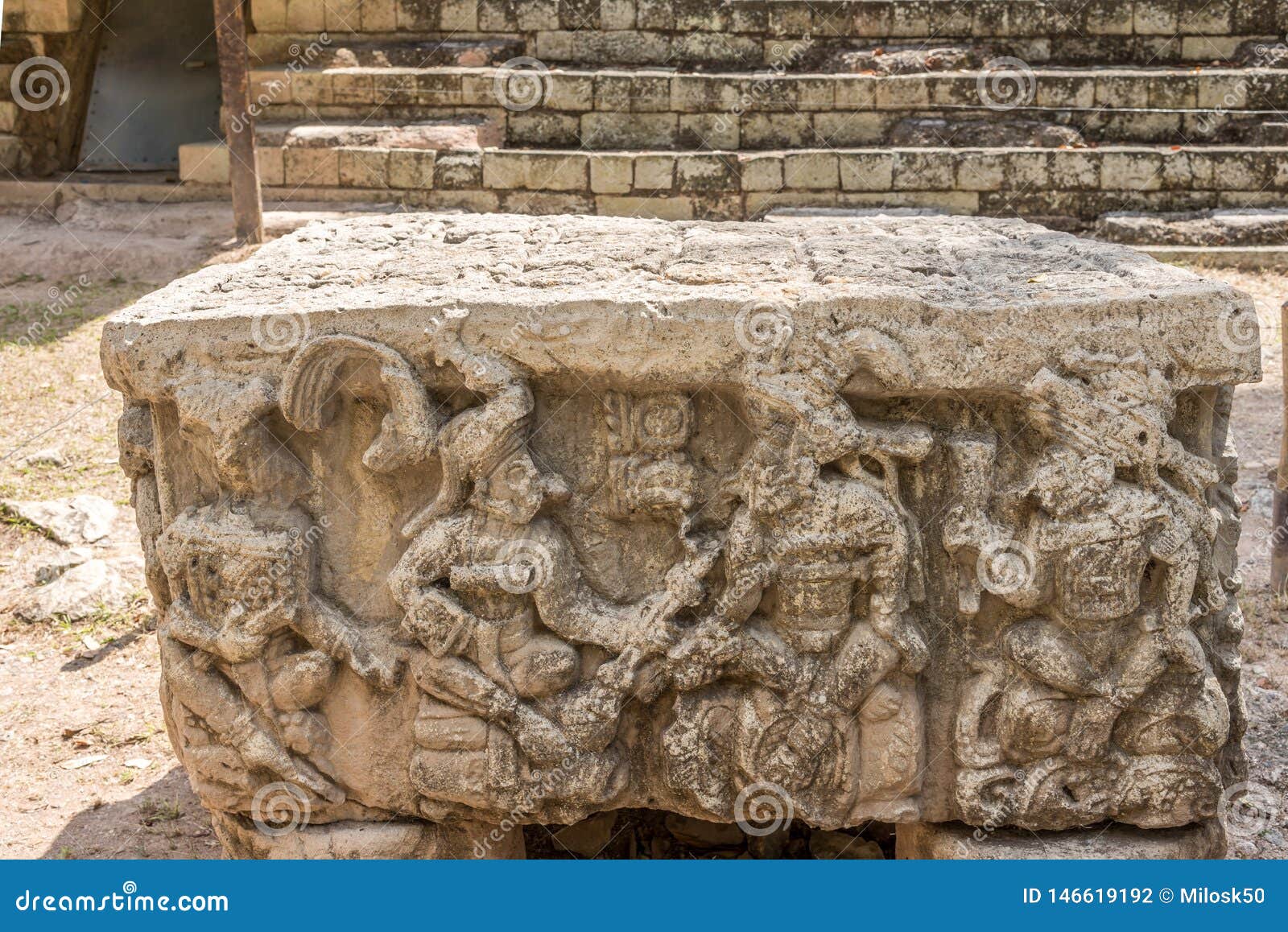 View at the Altar Q of Copan Archaeology Site in Honduras Stock Photo ...