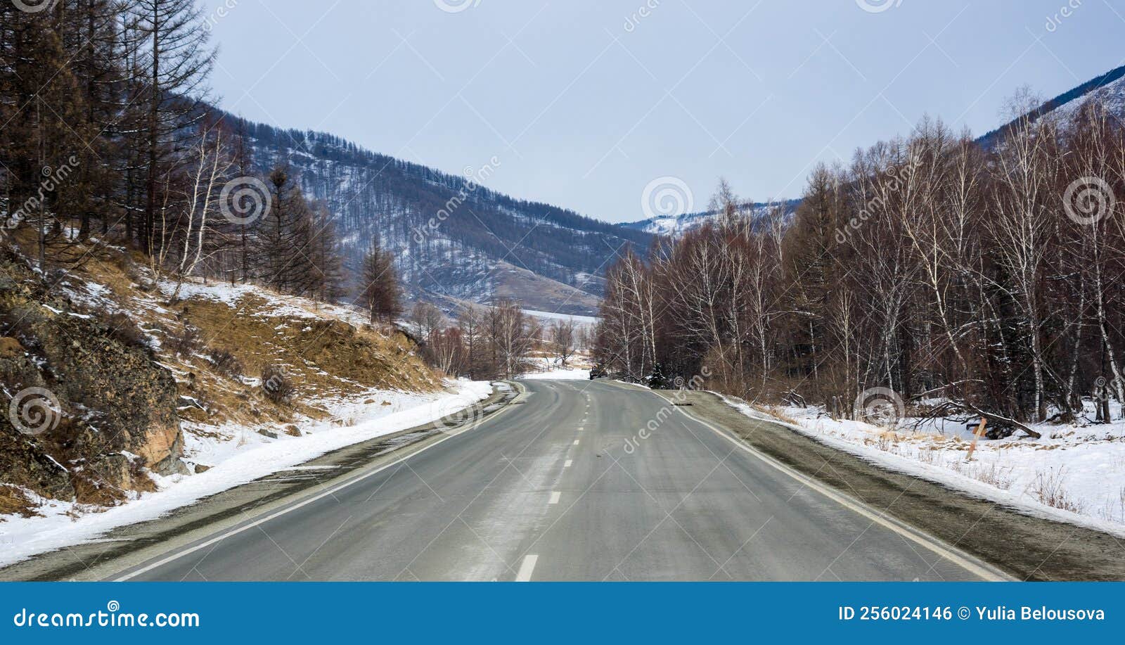 View of Altay mountains stock photo. Image of nature - 256024146