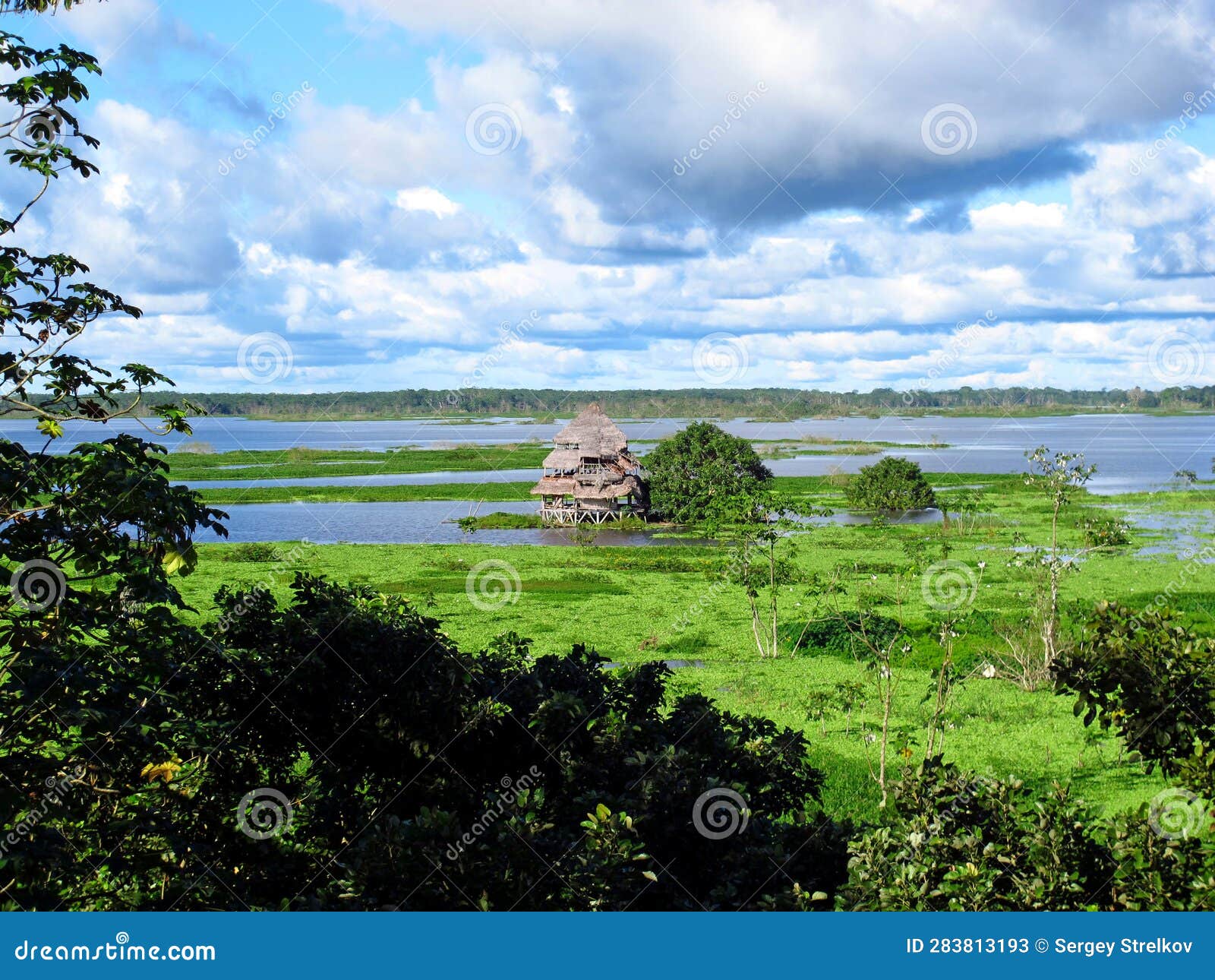 The View of Amazon River in Iquitos, Peru Stock Image - Image of tree ...