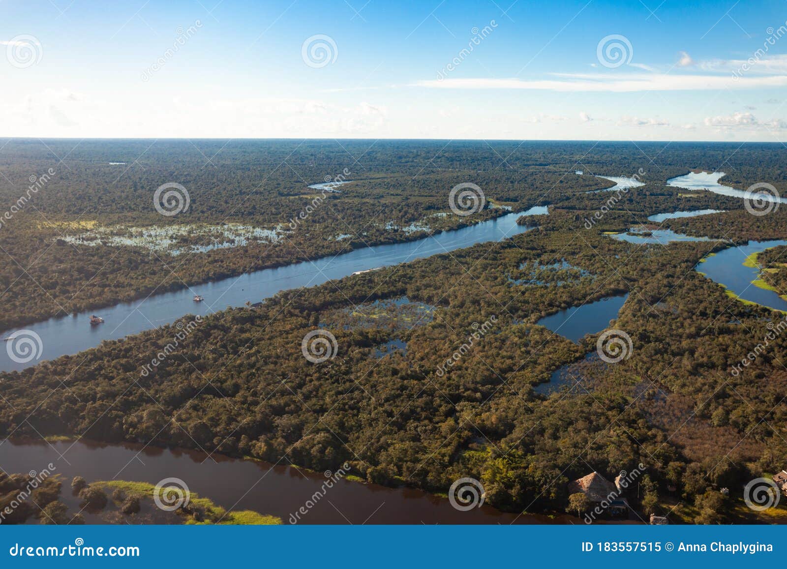 View of the Amazon River, Rainforest and Swamps, Travel Concept. Stock ...