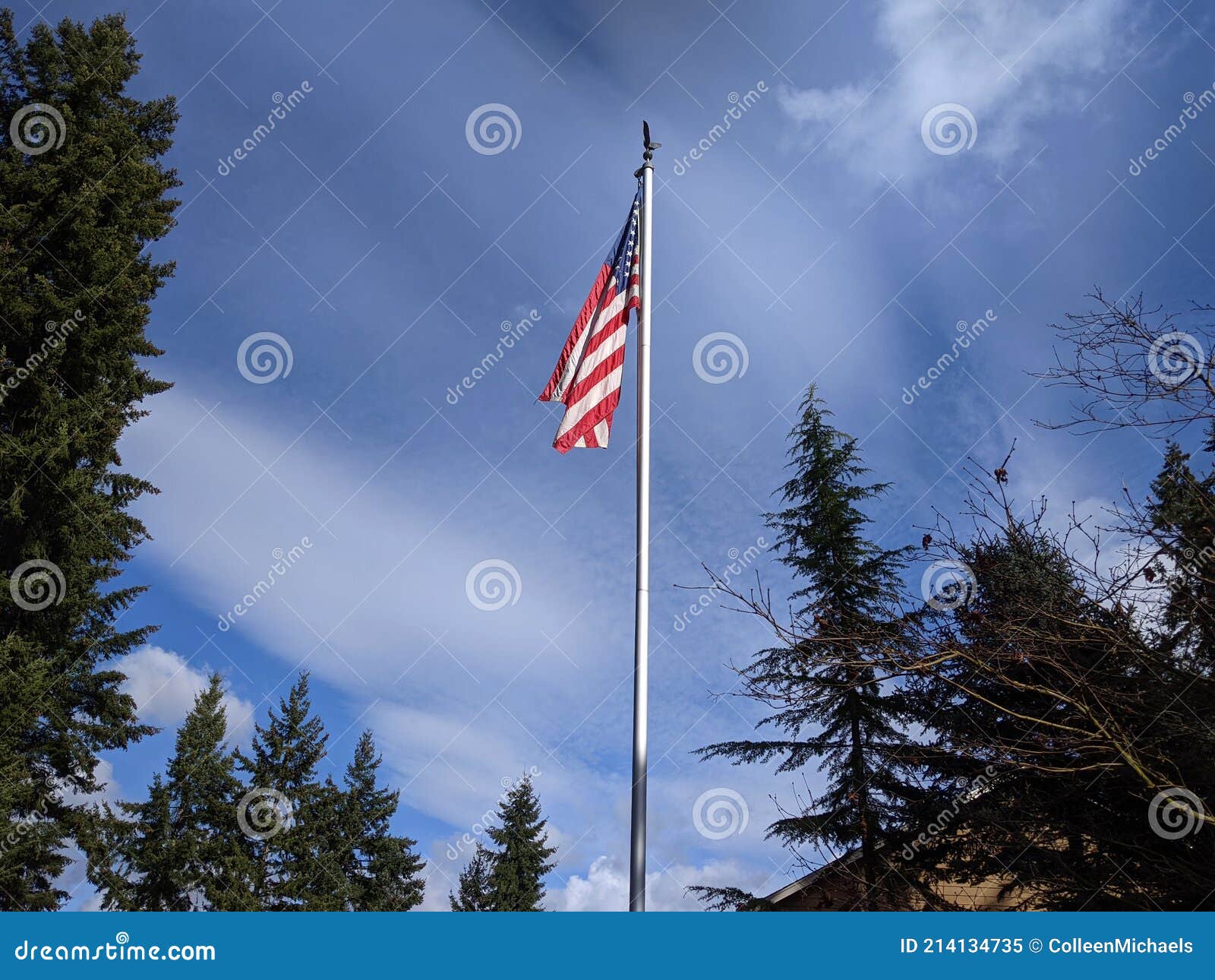 View of an American Flag, Flapping in the Wind Near Evergreen Trees in ...