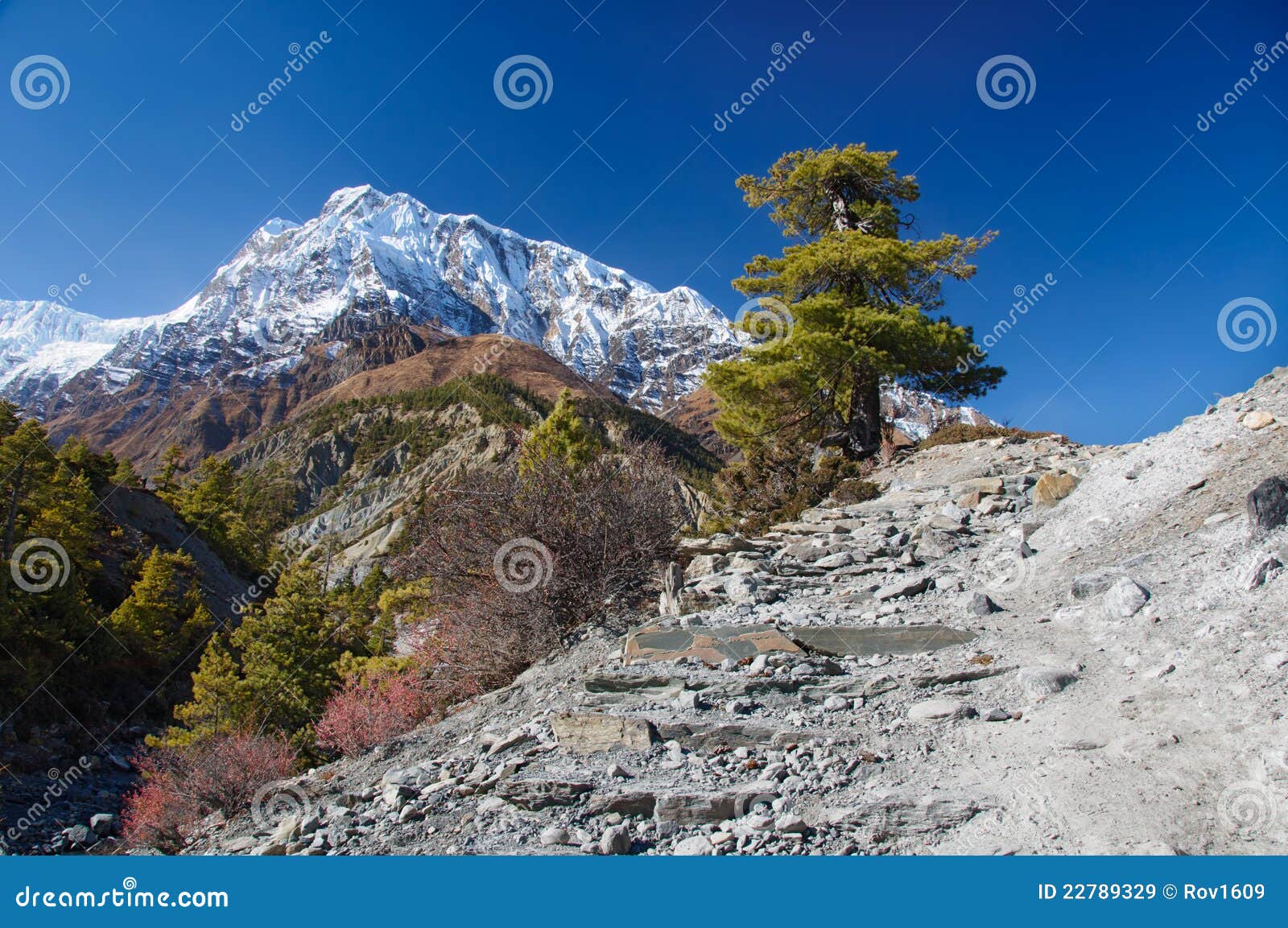 Annapurna Mountain Range Panorama View Of Macchapuchre Fish Tail ...