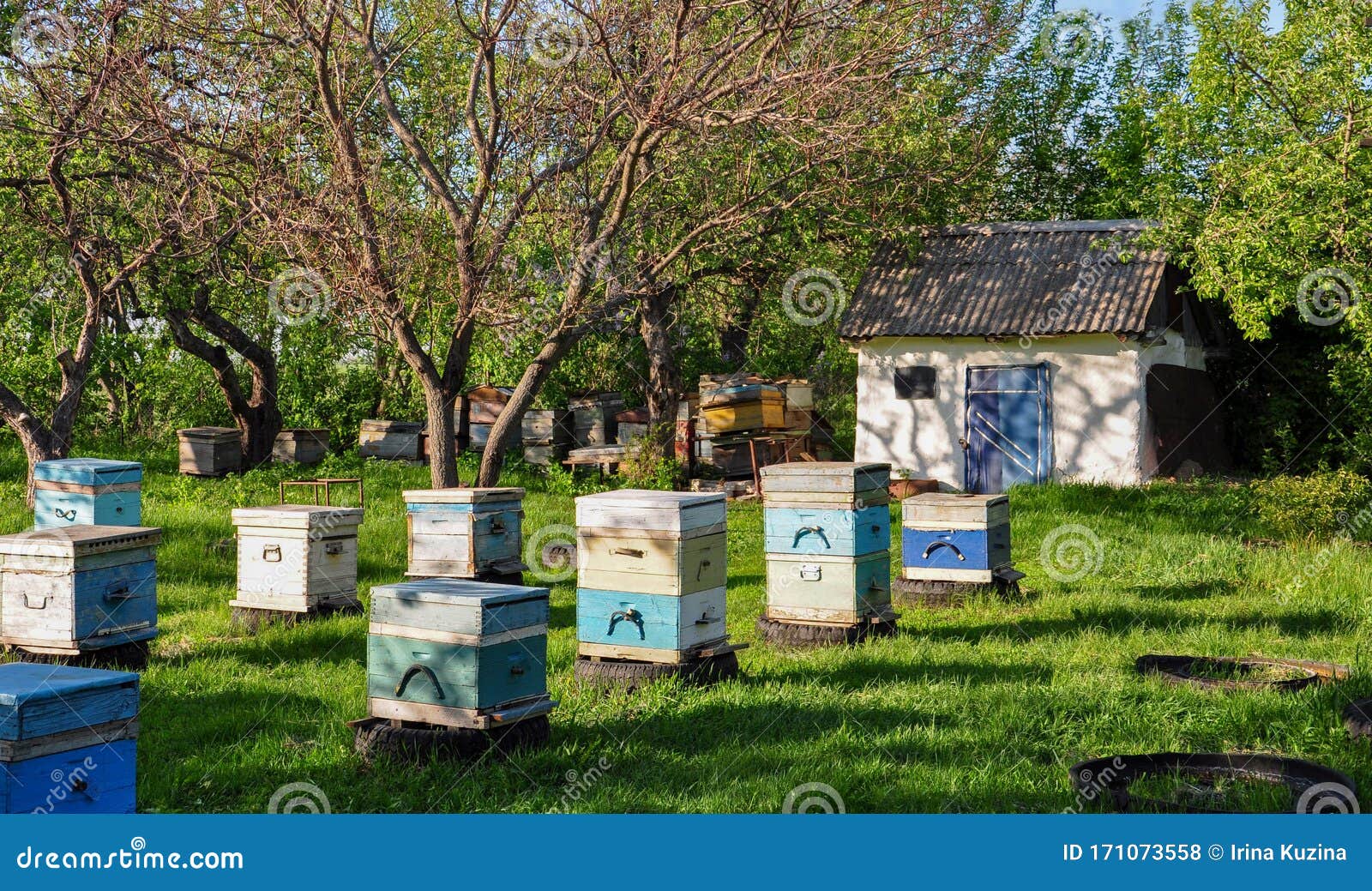View of an Apiary with Old Colorful Beehives in the Spring Stock Photo ...