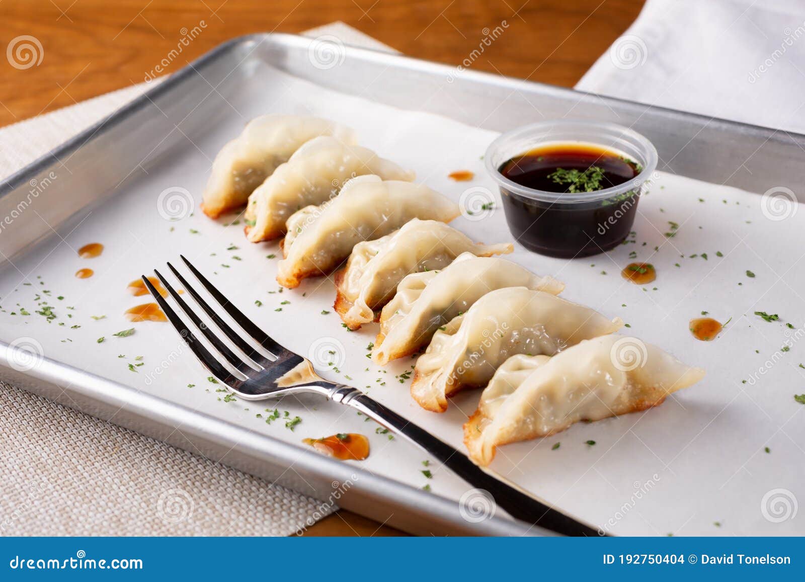 Tray of gyoza stock photo. Image of copy, kitchen, condiment - 192750404