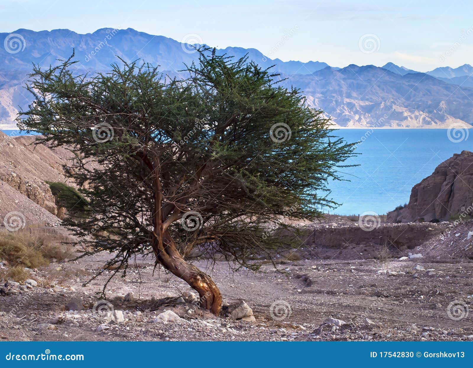 View on the Aqaba Gulf, Red Sea Stock Photo - Image of gulf, stone ...
