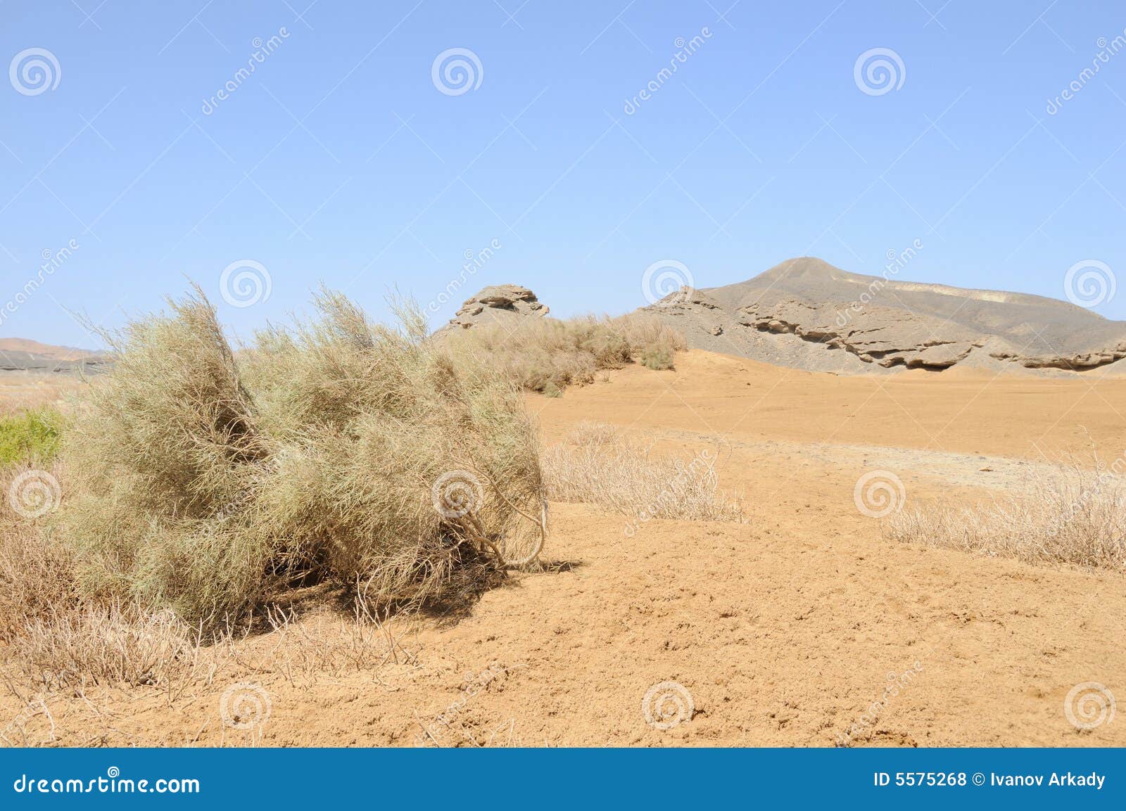 View Arabian Desert, stock photo. Image of nature, rock - 5575268