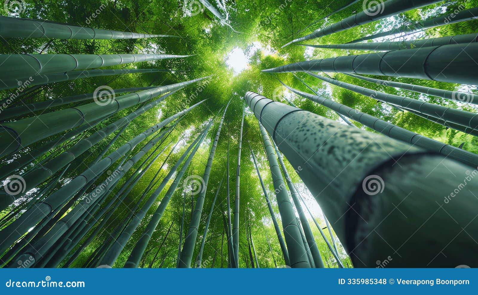 Arashiyama Bamboo Grove Japan Aesthetic Anime Style Il Ai Generated ...