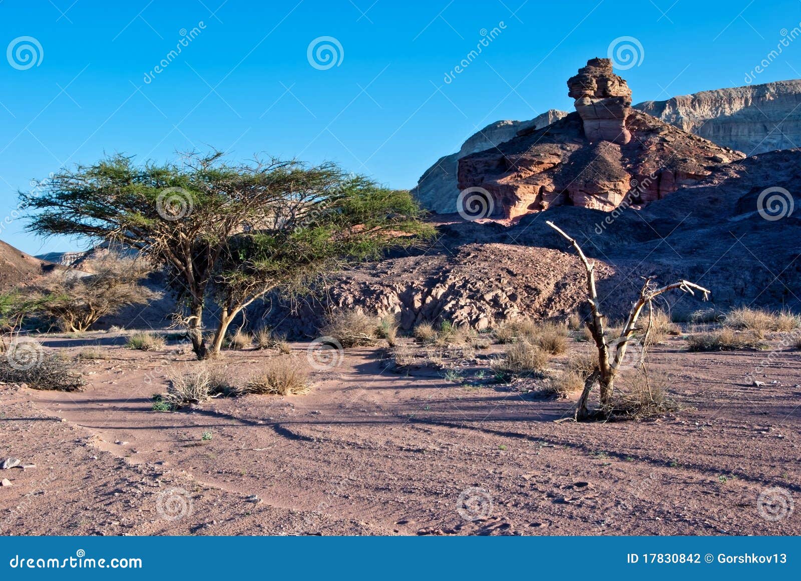 View on Arava Desert, Israel Stock Photo - Image of bush, erosion: 17830842