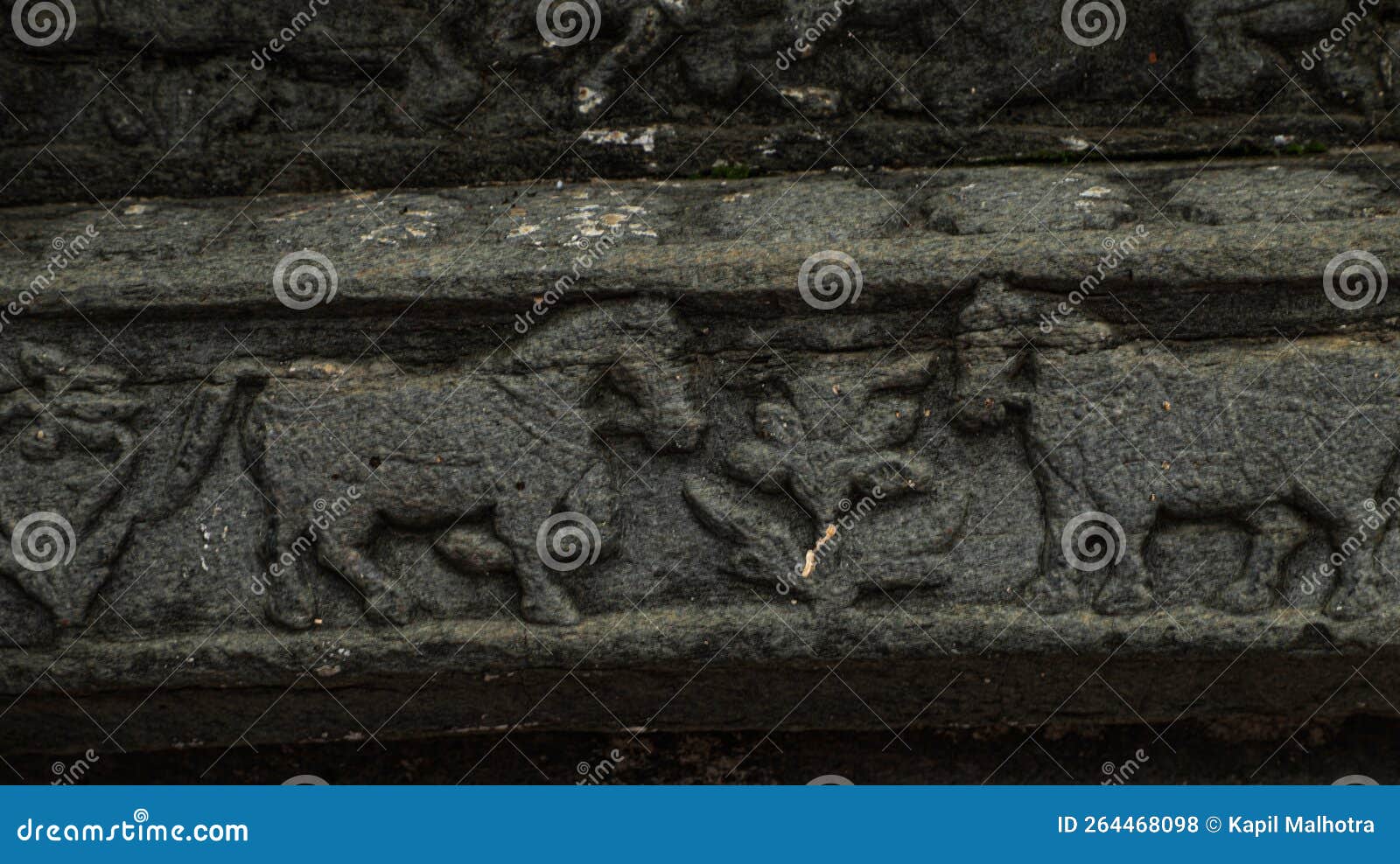 View of Artwork in the Temples of Kumaon Stock Photo - Image of column ...