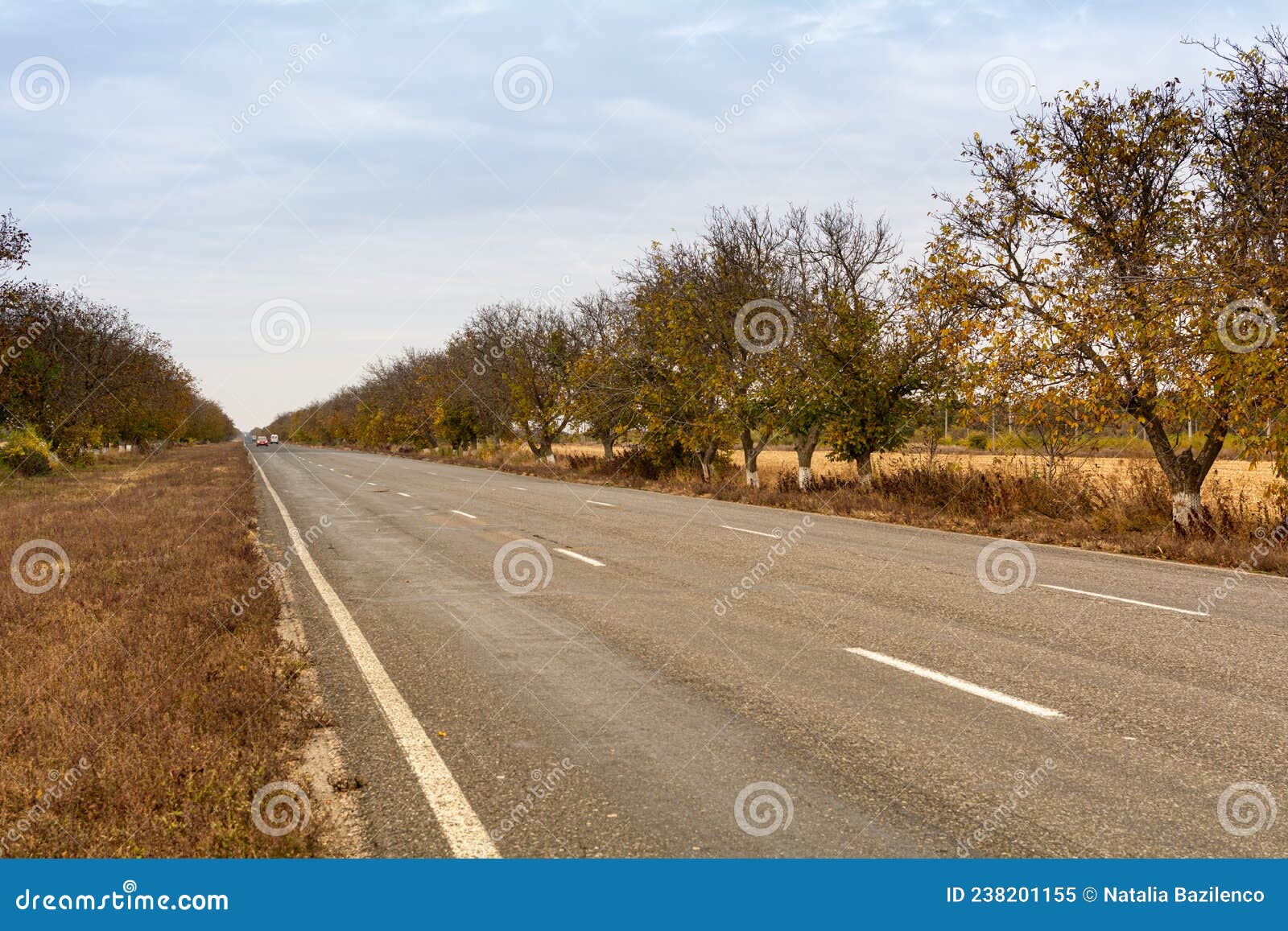 View of the Asphalt Road from the Lower Level Stock Image - Image of ...