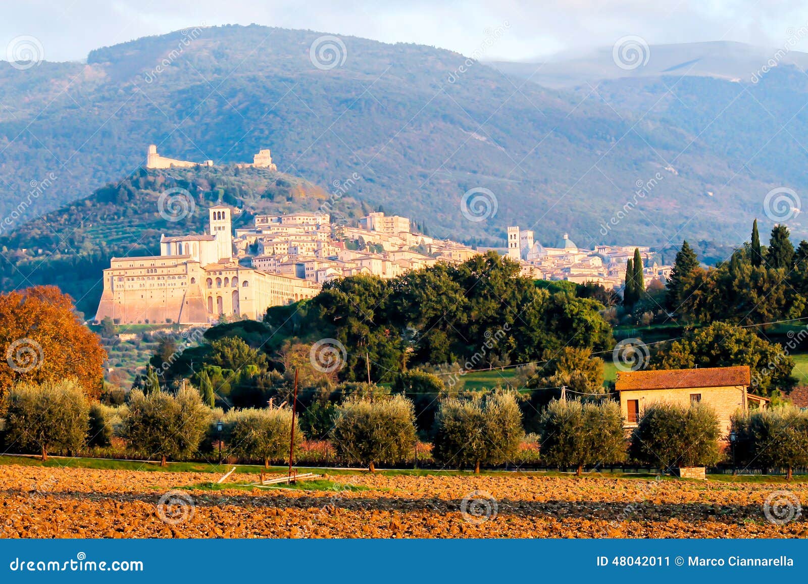 View of Assisi stock image. Image of view, saint, trees - 48042011