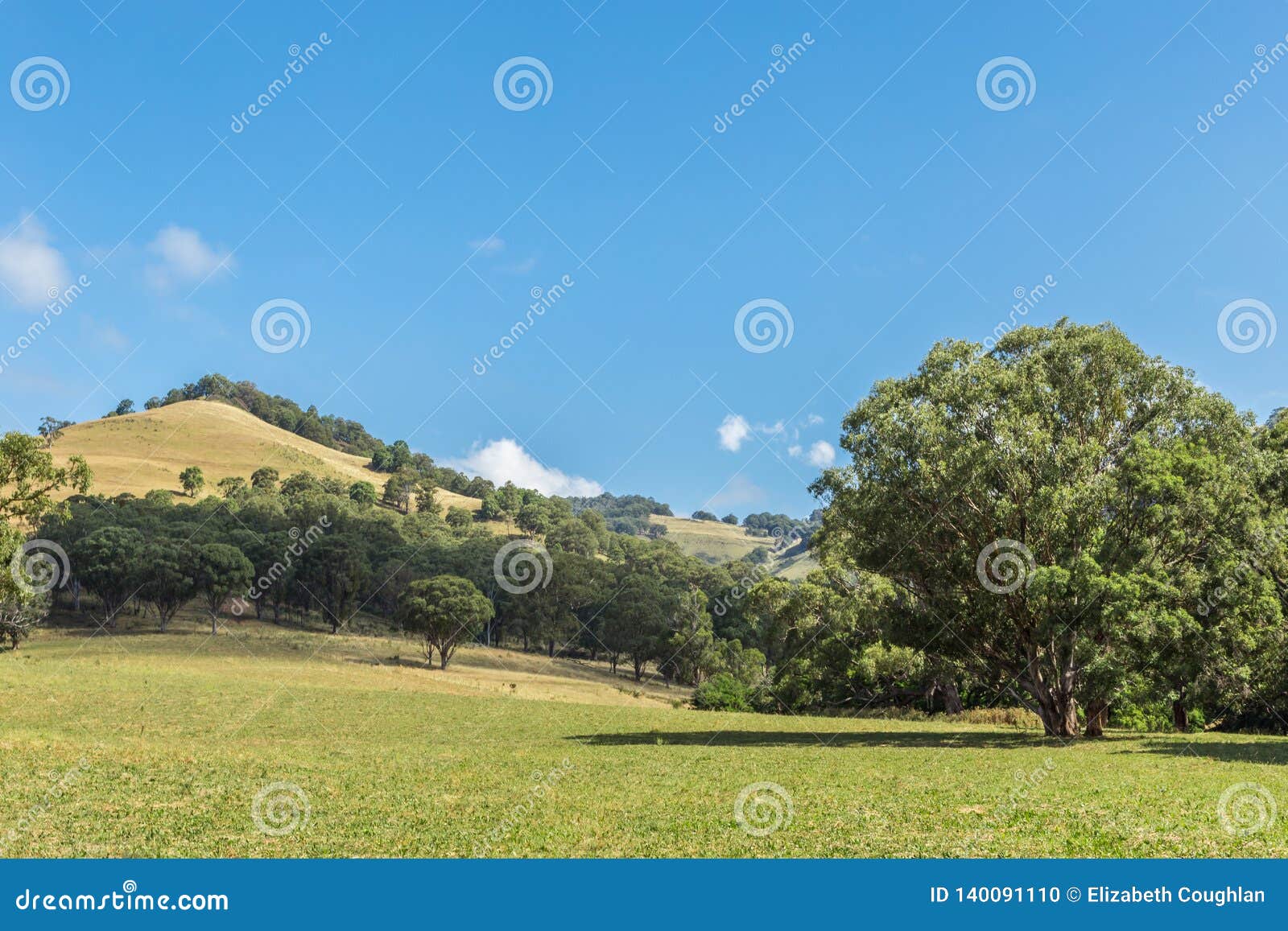 View of the Australian Countryside in the Upper Hunter Valley, NSW ...