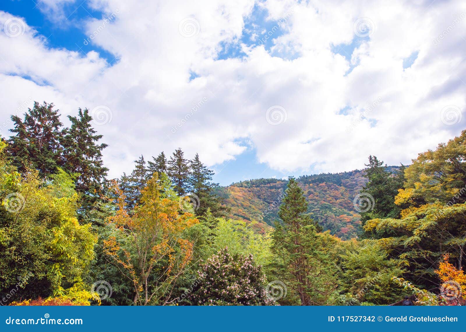 View of the Autumn Landscape in the Mountains, Hanoke, Japan. Copy ...