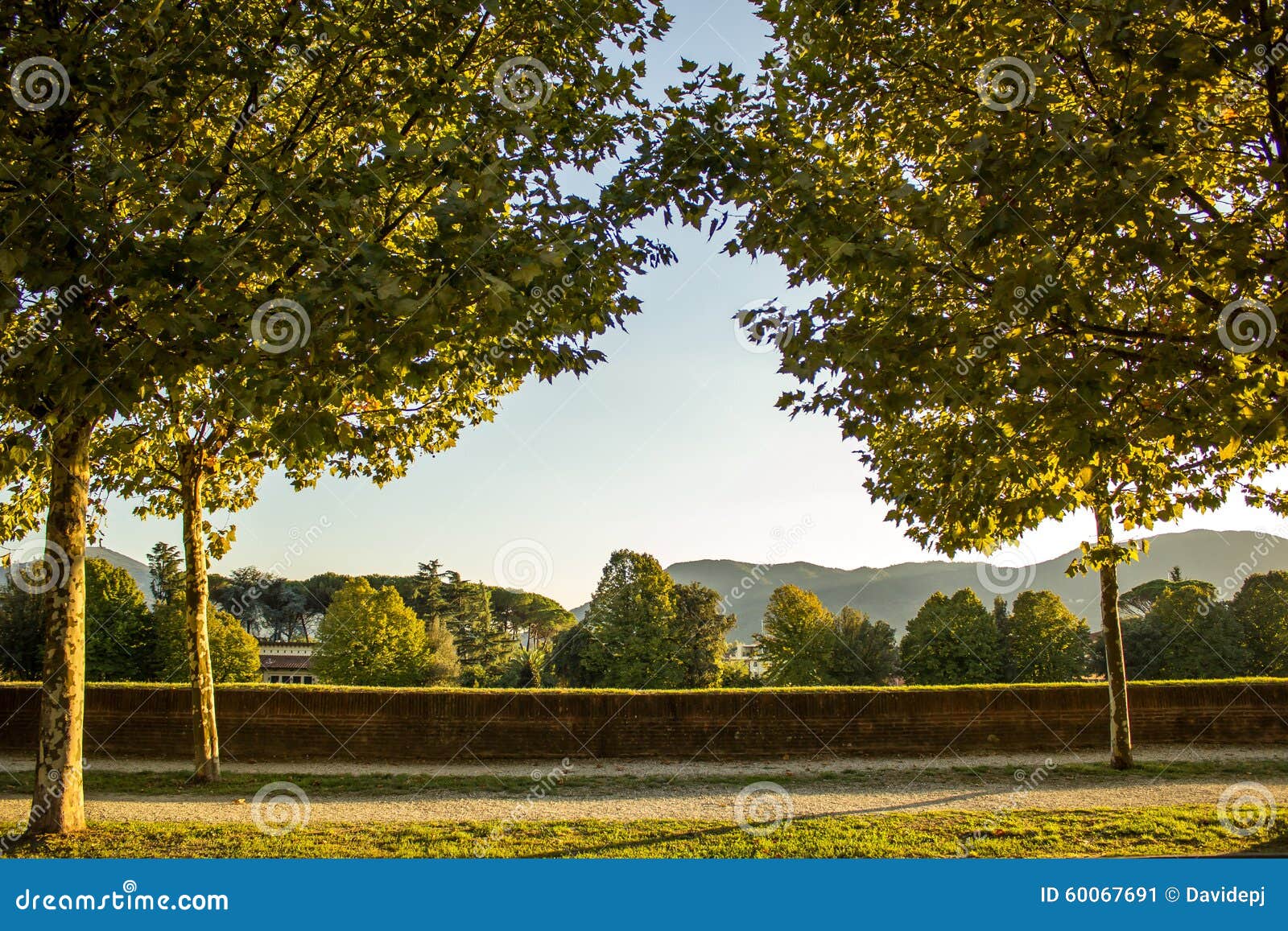 View of Autumn Trees in Lucca Stock Image - Image of natural, footpath ...