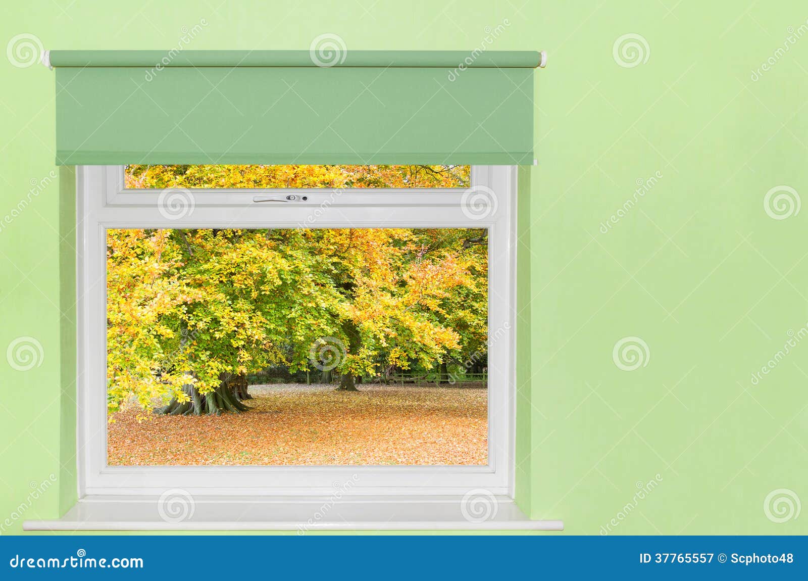 View of autumn trees stock image. Image of residential - 37765557