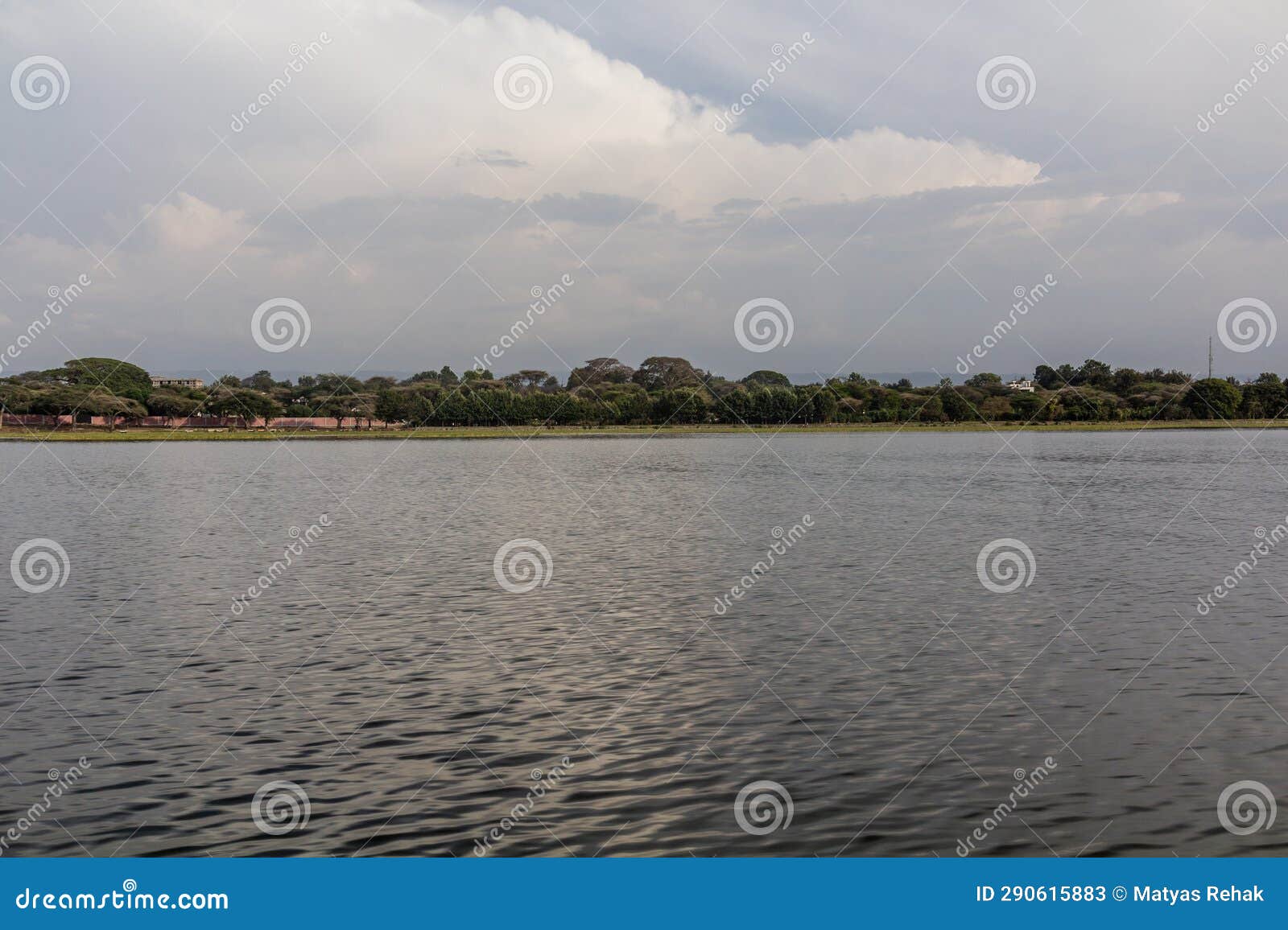 View of Awassa Lake, Ethiop Stock Image - Image of african, beautiful ...