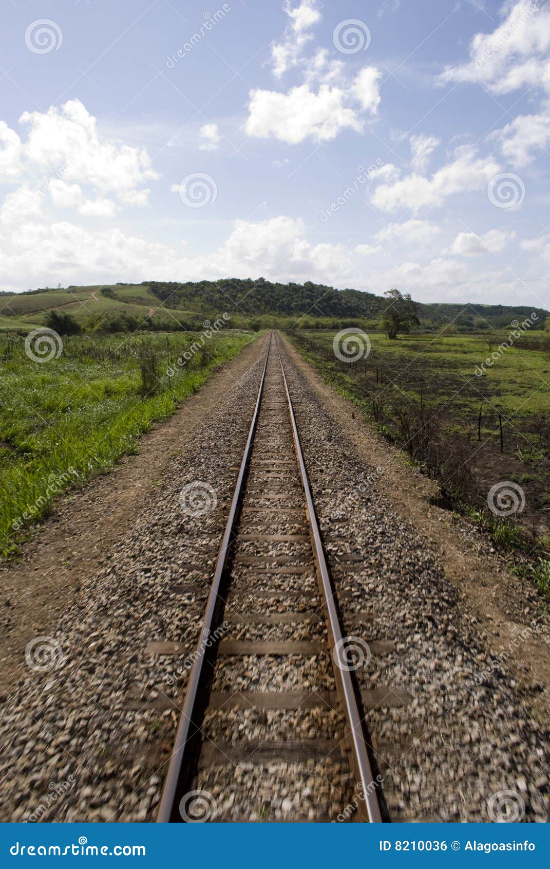 View from back of train stock photo. Image of train, nature - 8210036