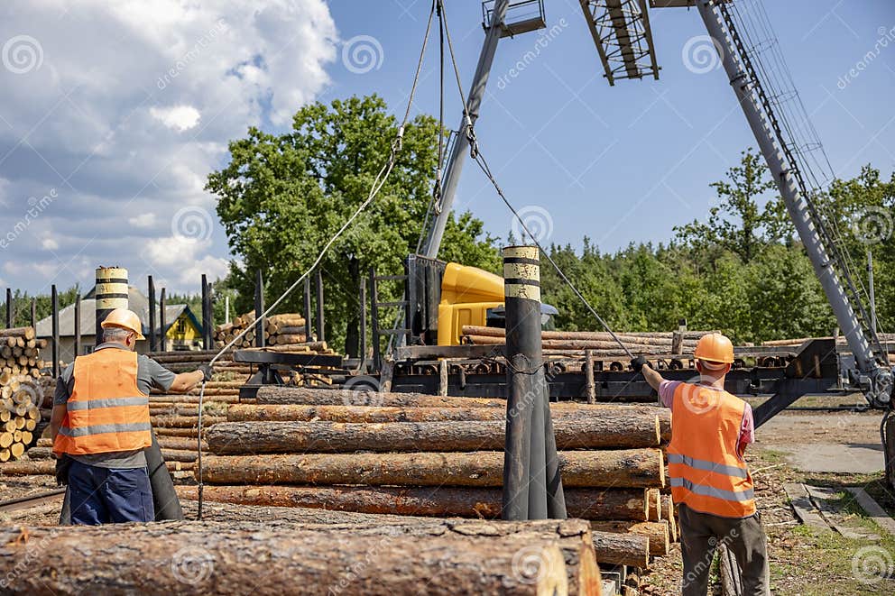 View of the Backs of Workers Engaged in Processing, Loading and Transporting Wood. Stock Image ...