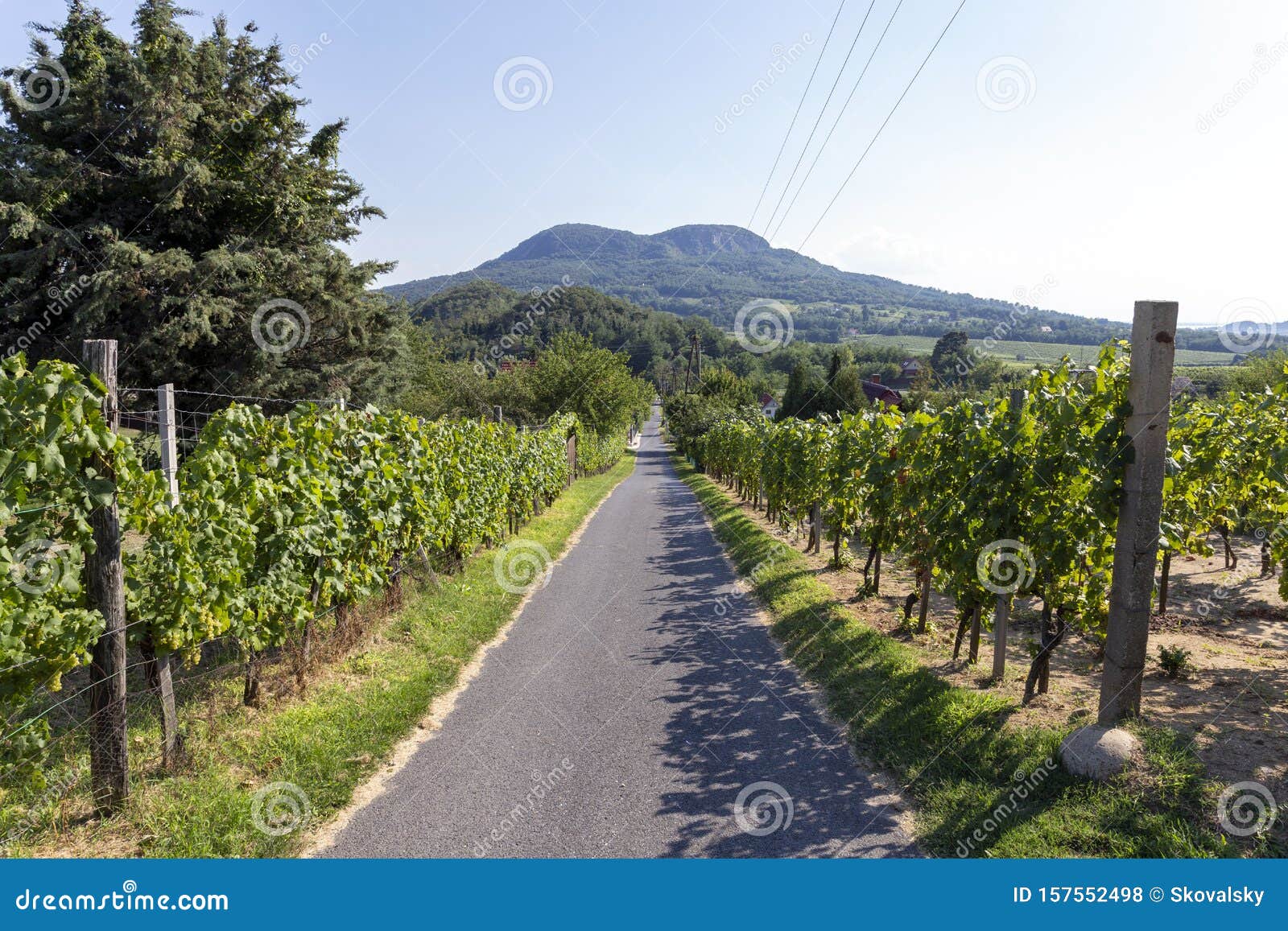 View of the Badacsony Mountain from Gulacs, Hungary Stock Photo - Image ...