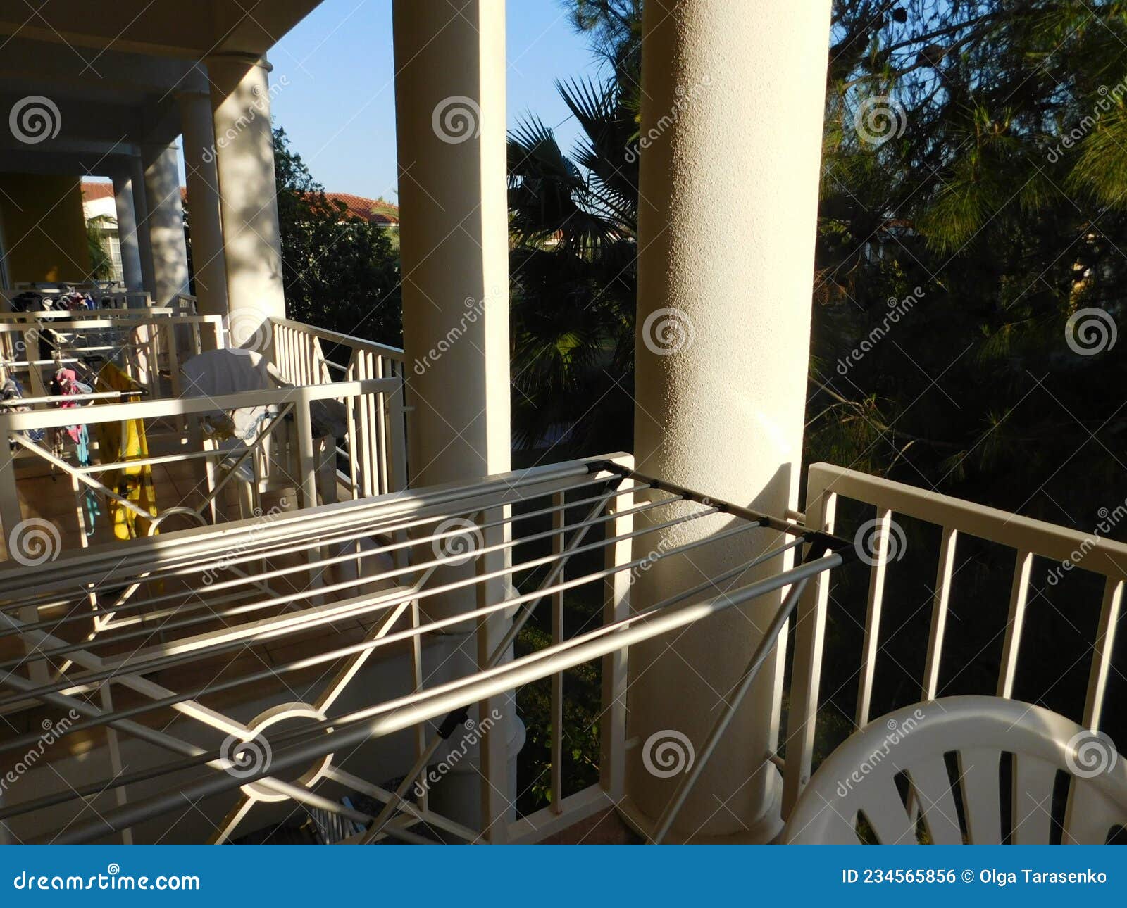 View from the Balcony with Columns on the Green Fluffy Branches of a ...