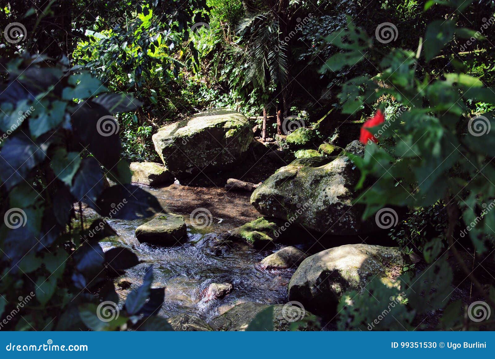 Bali Countryside, Indonesia Stock Photo - Image of panoramic, dirt ...