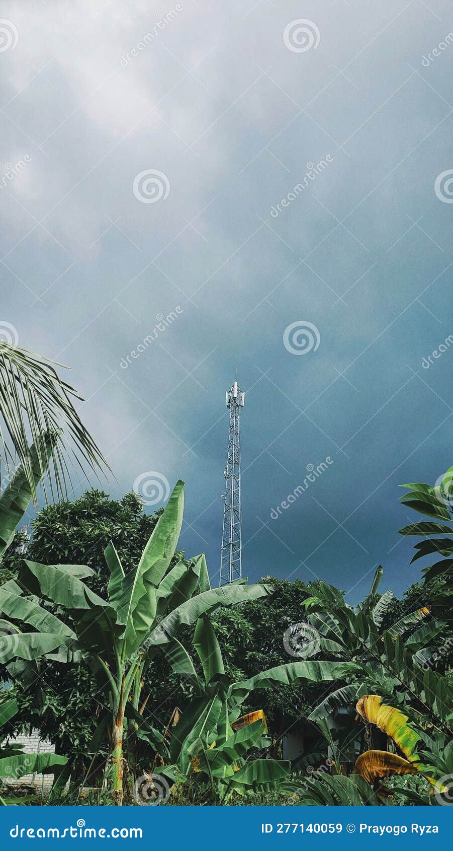 A View Banana Tree with Telecomunication Tower in the Background Stock ...