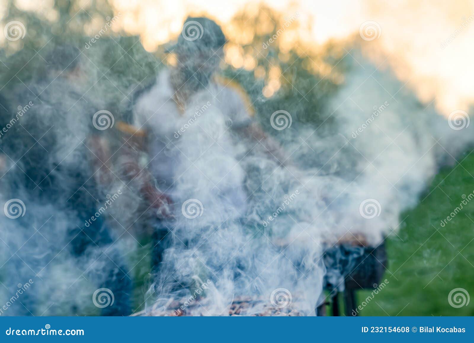 Barbecue Under A Canopy. Covered Wood Grill. Outdoor Oven For Cooking ...