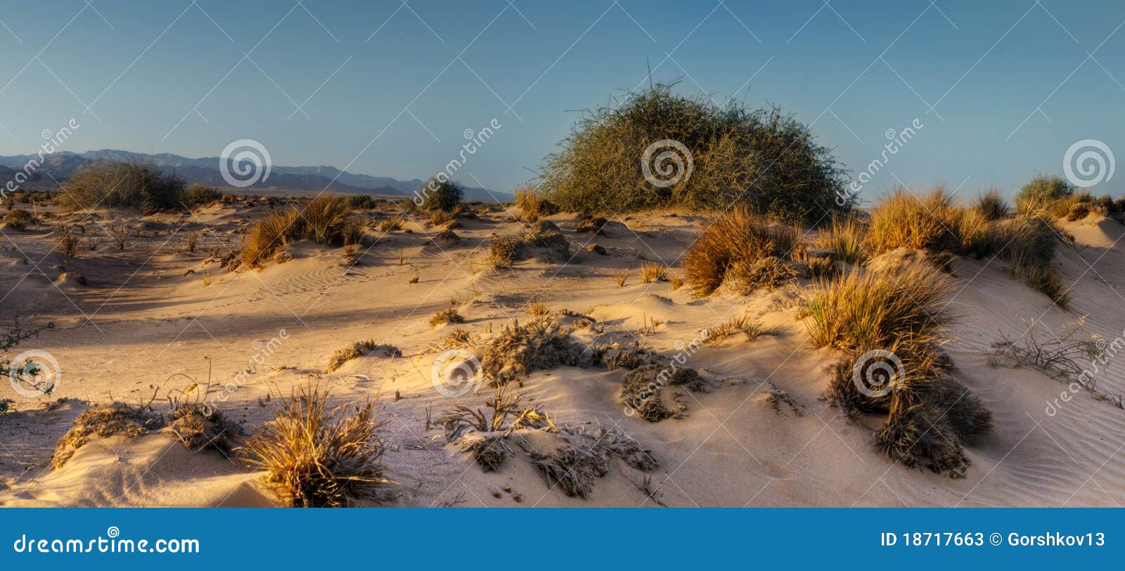 View on Barchan Sands in Arava Valley, Israel Stock Image - Image of ...