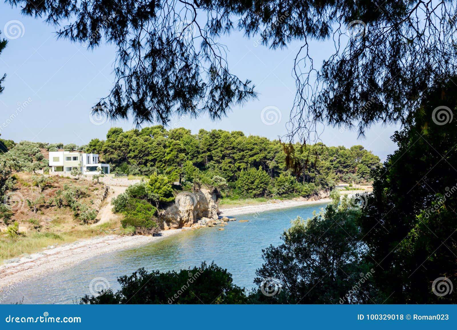 View on the Bay Trough Green Vegetation, Pine Tree Stock Photo - Image ...
