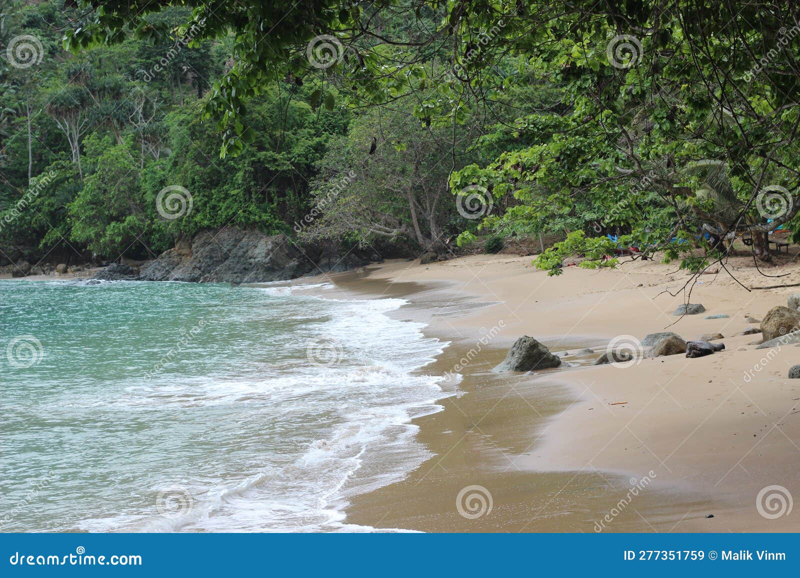 The View of Beach Behind Forest Stock Image - Image of environment ...
