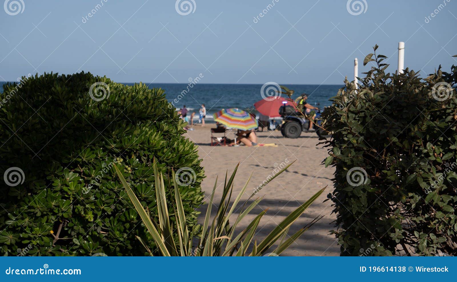 View of a Beach with Greenery on the Foreground Stock Photo - Image of ...