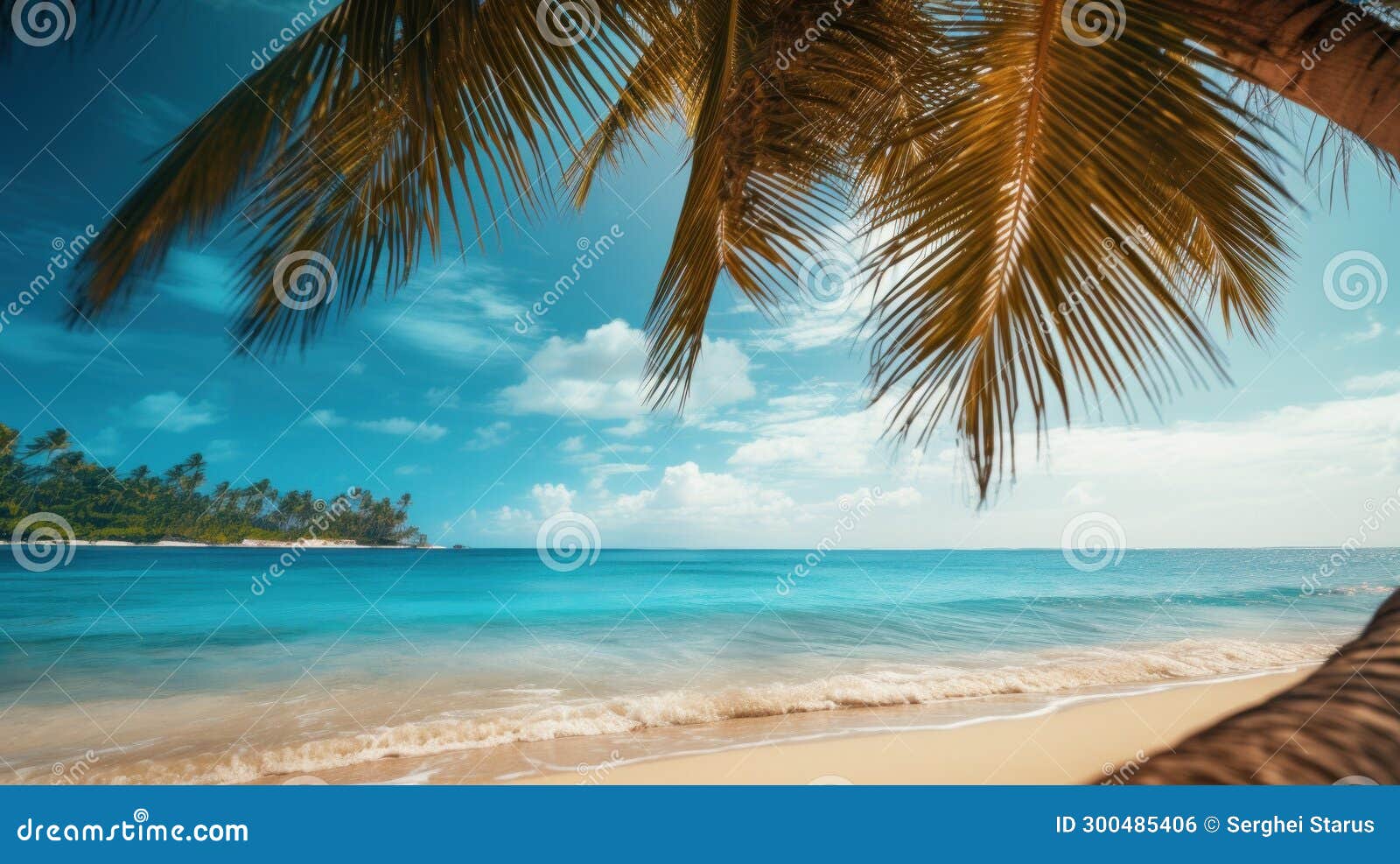 A View of a Beach with Palm Trees and the Ocean, AI Stock Photo - Image ...